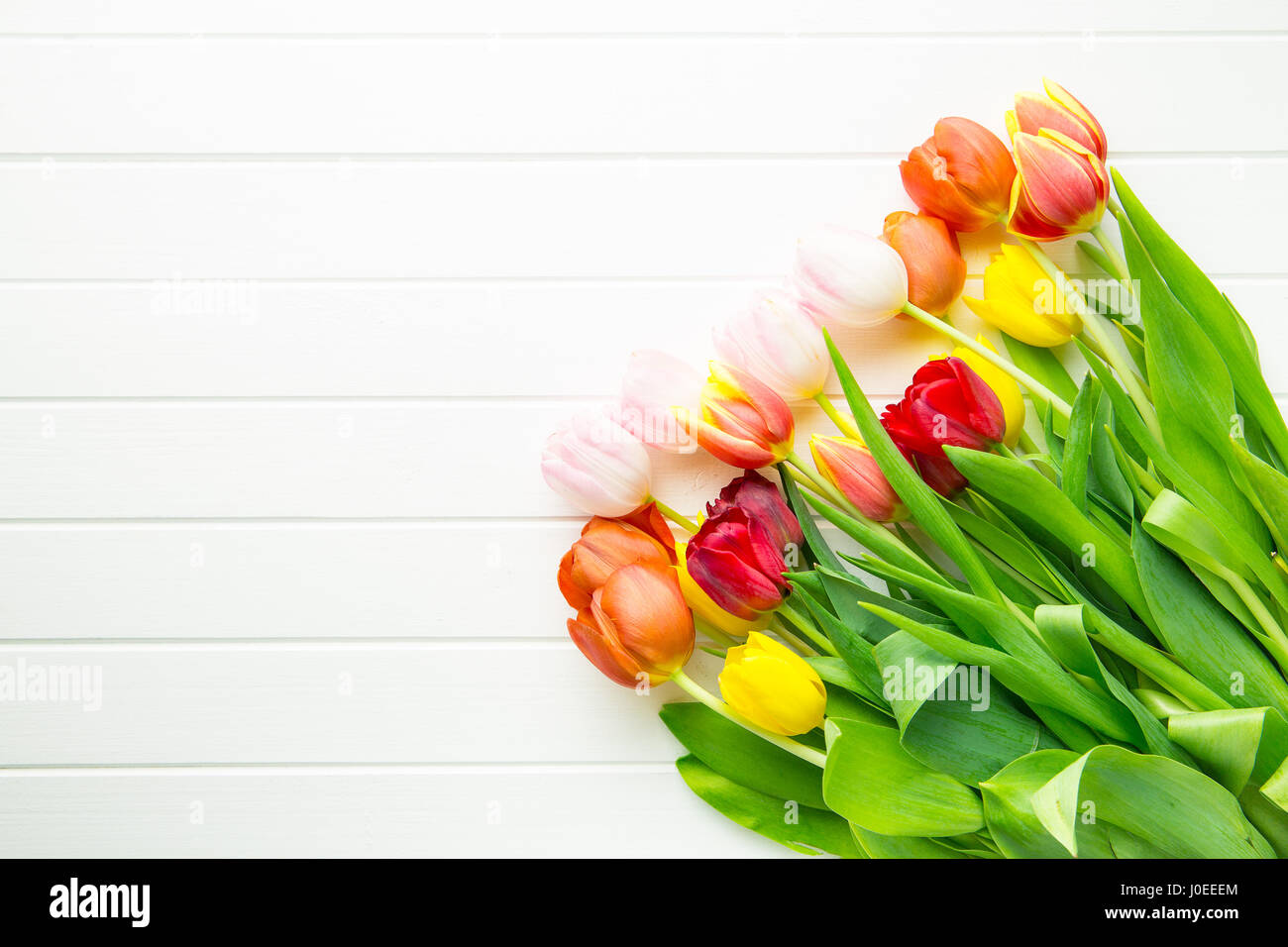 Bunch of colorful tulip flowers Stock Photo - Alamy