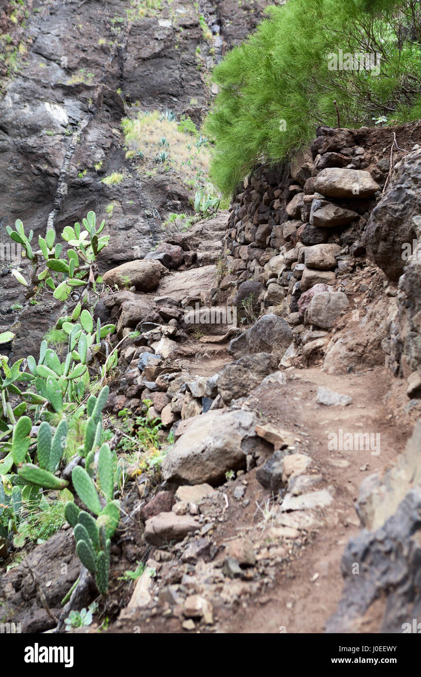 A slippery athway along the slope of the mountain in the Masca gorge ...