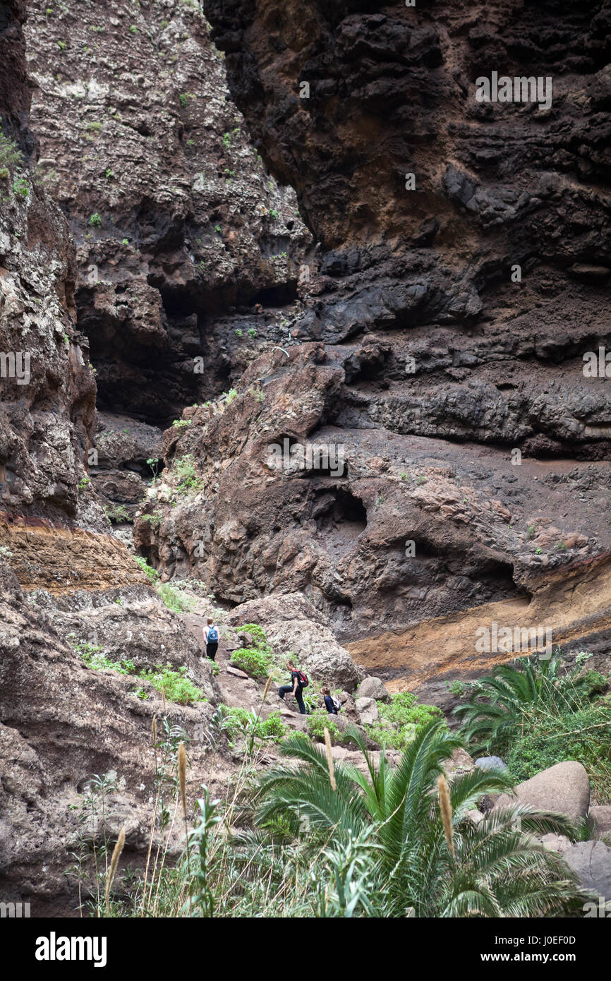 MASCA, TENERIFE, SPAIN - CIRCA JAN, 2016: Boys and girls a hikers walk ...