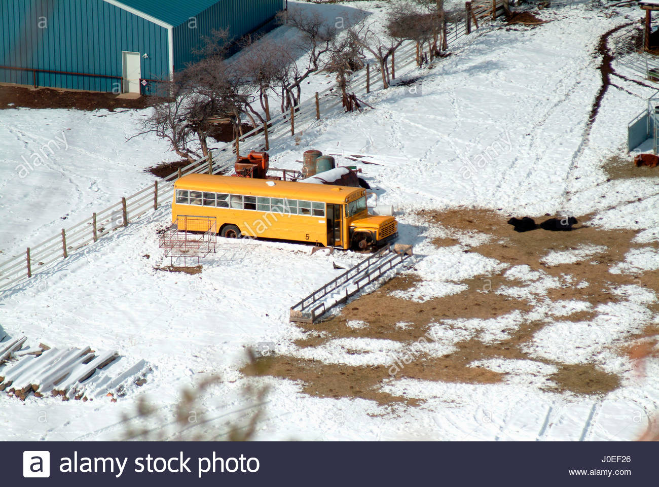 Aerial View School Bus High Resolution Stock Photography and Images - Alamy