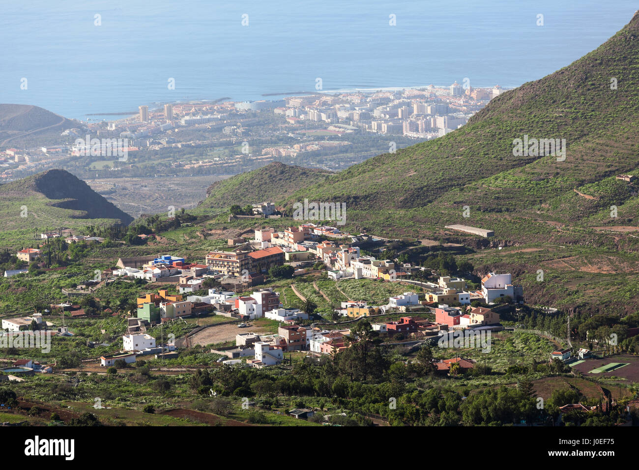 South island canary hi-res stock photography and images - Alamy