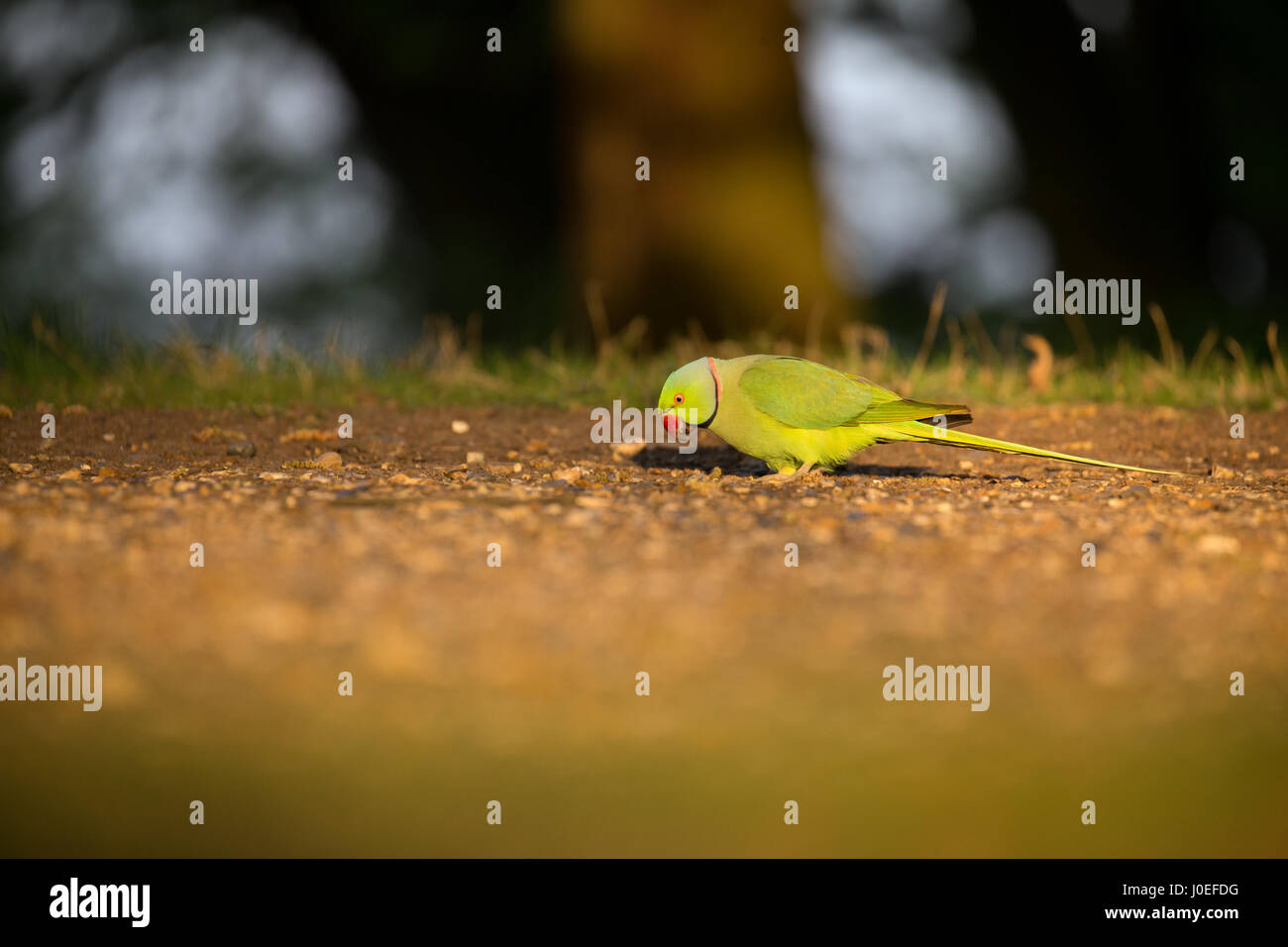 London ground level hi-res stock photography and images - Alamy