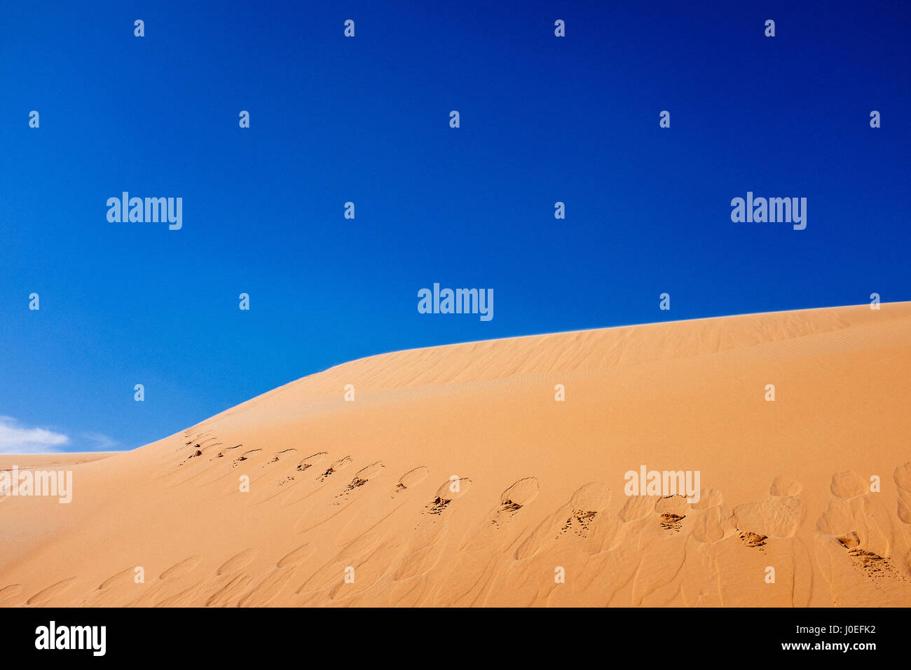 United arab emirates doha hi-res stock photography and images - Alamy