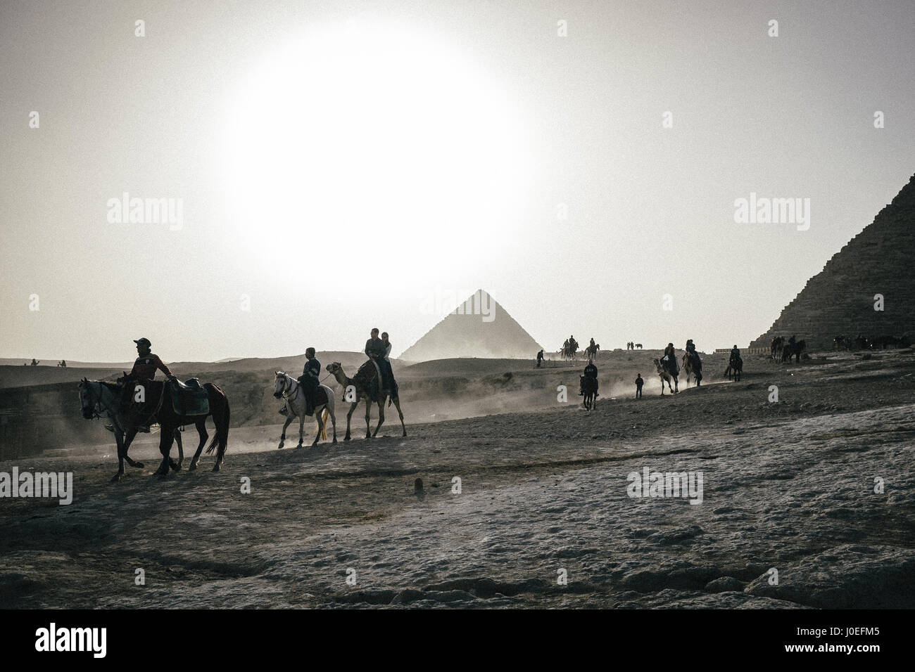 Tourist ride camels at the great pyramids of Giza, Egypt Stock Photo ...