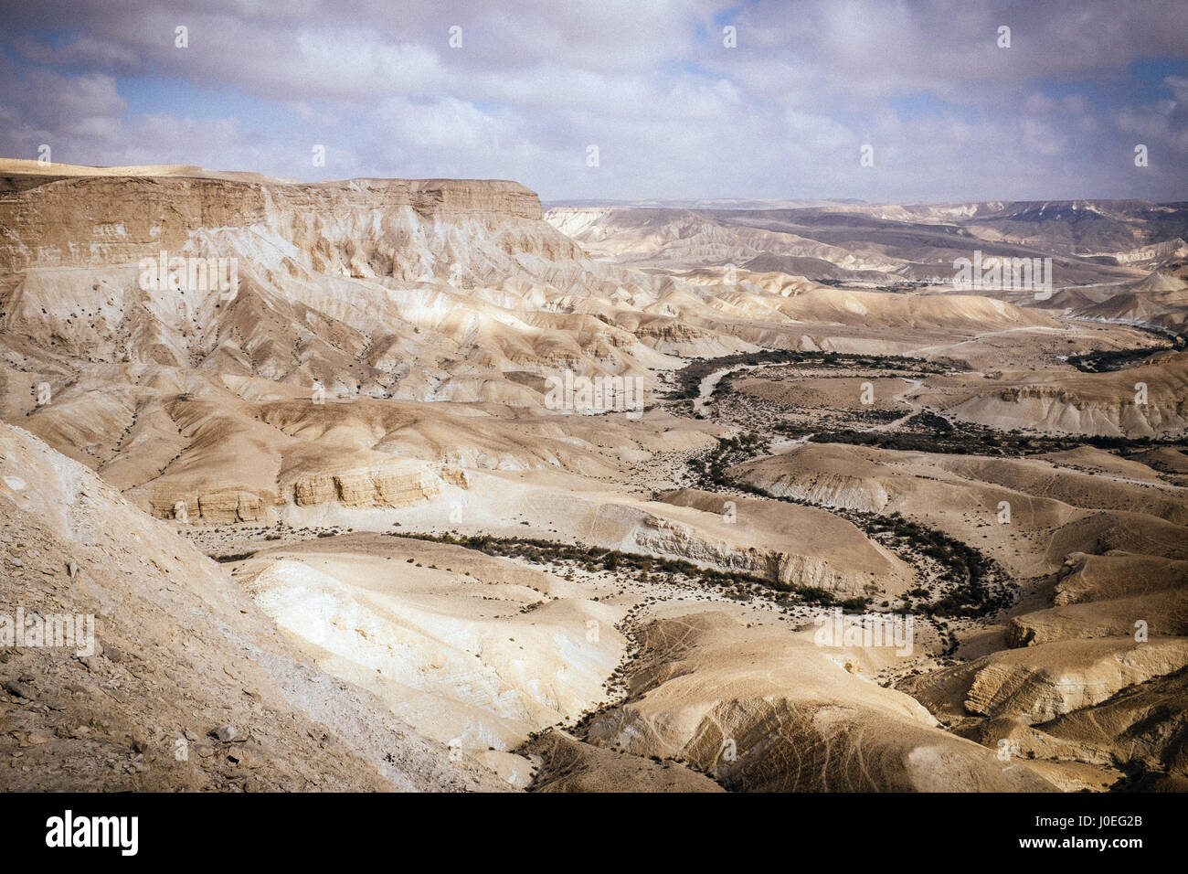 Negeb hi-res stock photography and images - Alamy