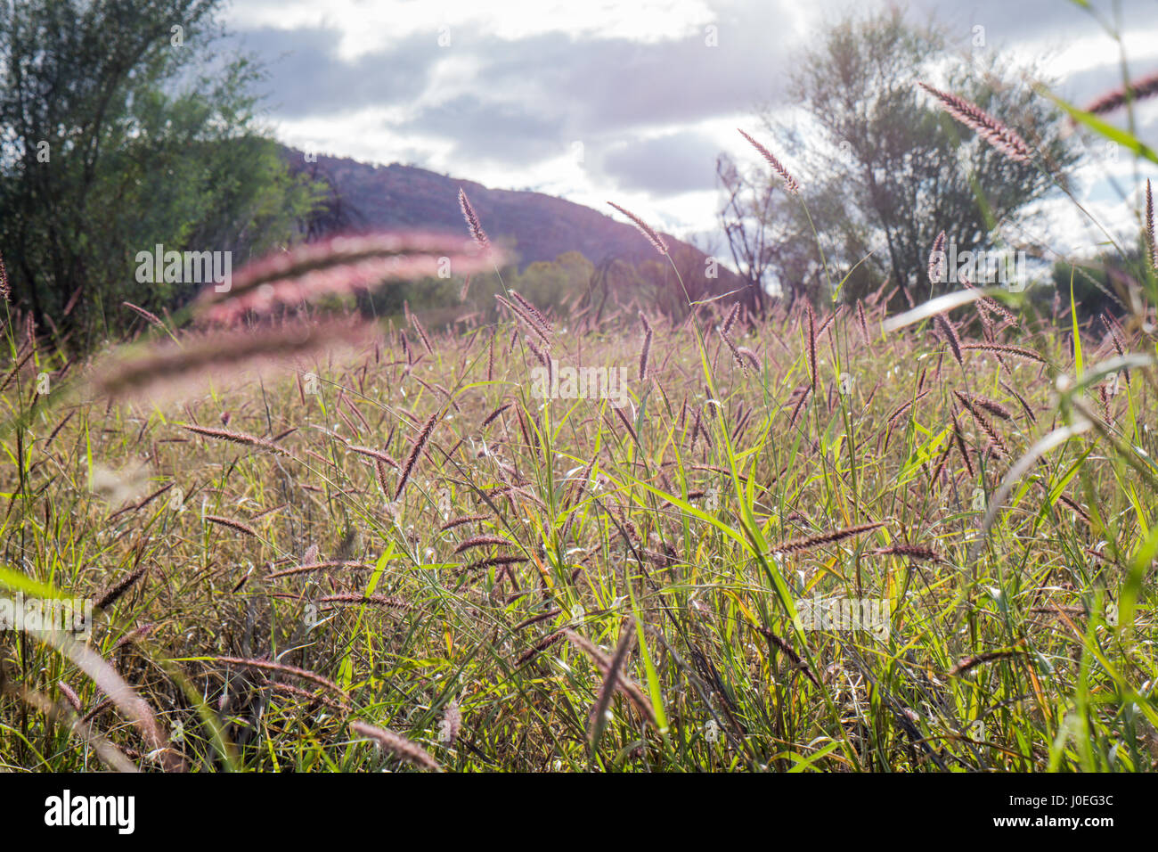 Alice springs Simpsons Gap Northern Territory Stock Photo - Alamy