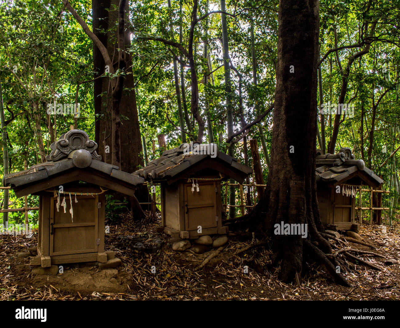 Saitama shrines hi-res stock photography and images - Alamy