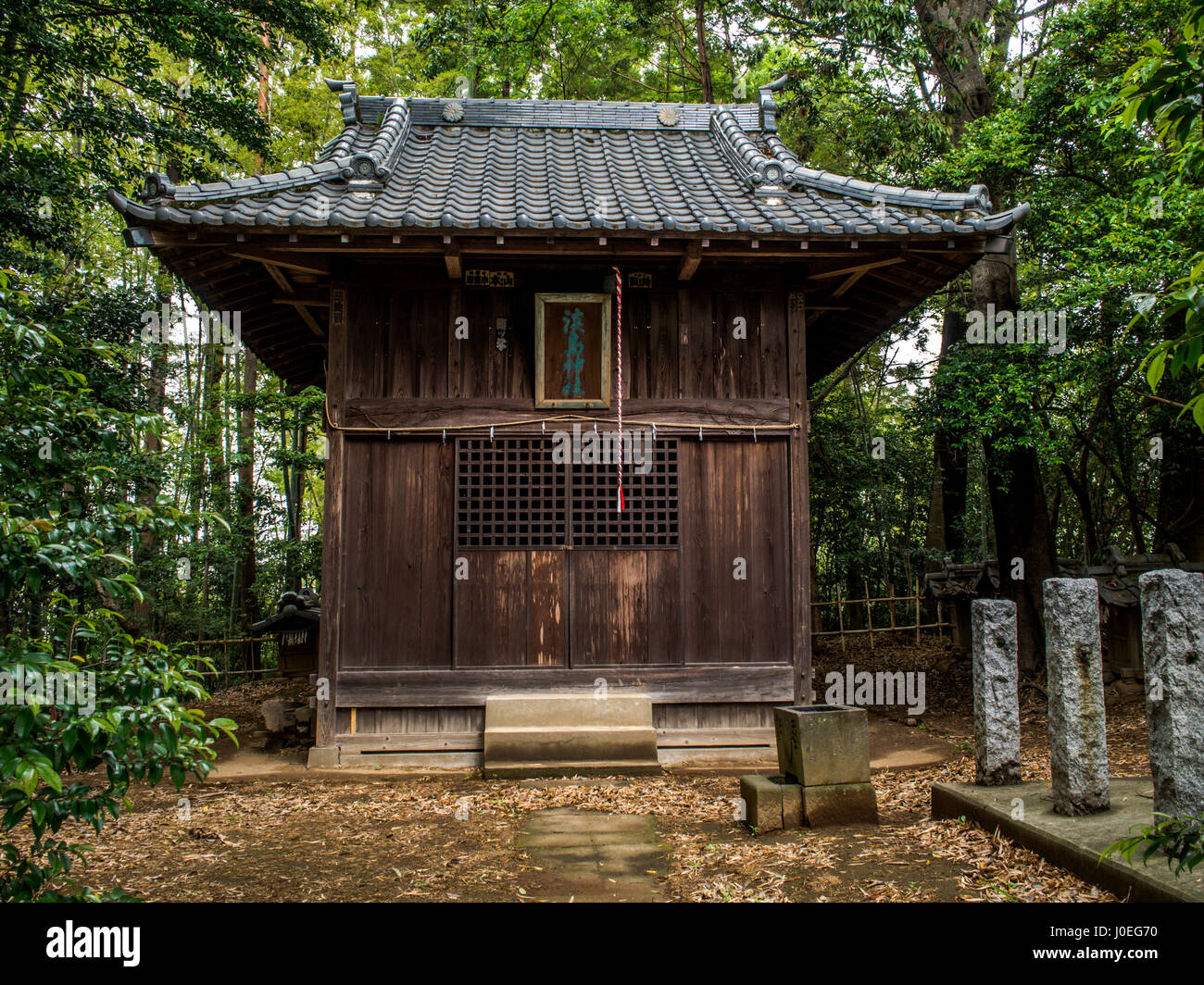Shinto shrine in a grove of trees, Sashiogi, Saitama, Japan Stock Photo ...