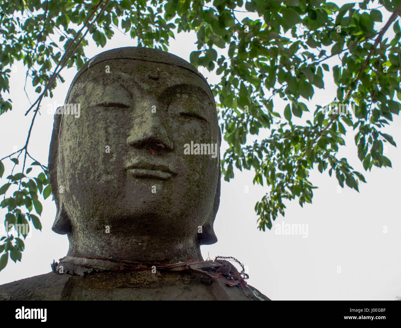 Head of a Buddha, statue in temple cemetery, Ageo, Saitama, Japan Stock ...