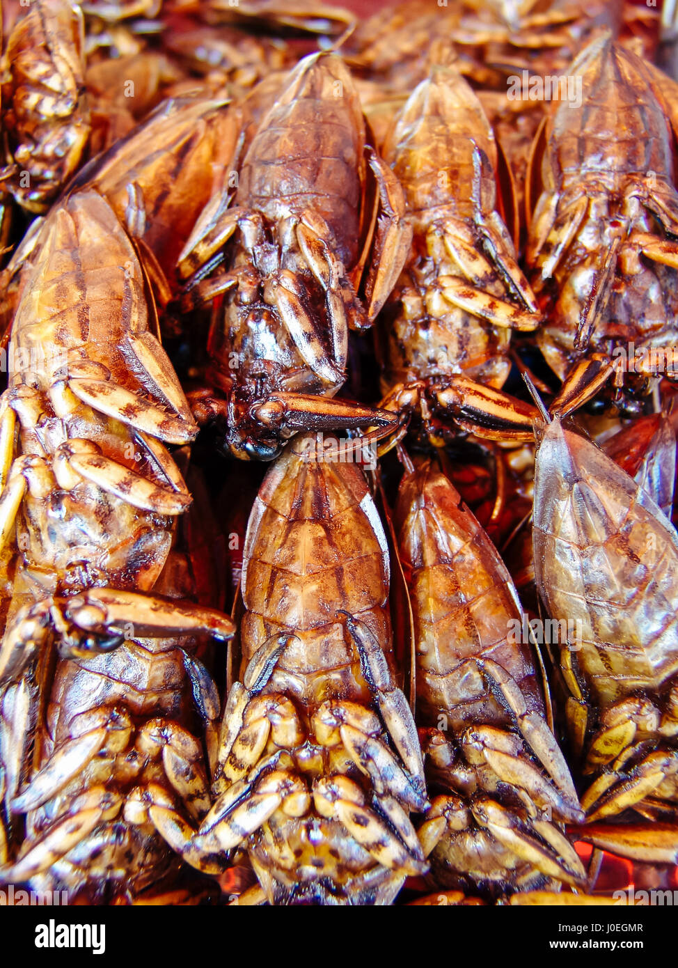 Fried insects on the street food stalls of Asia Stock Photo - Alamy