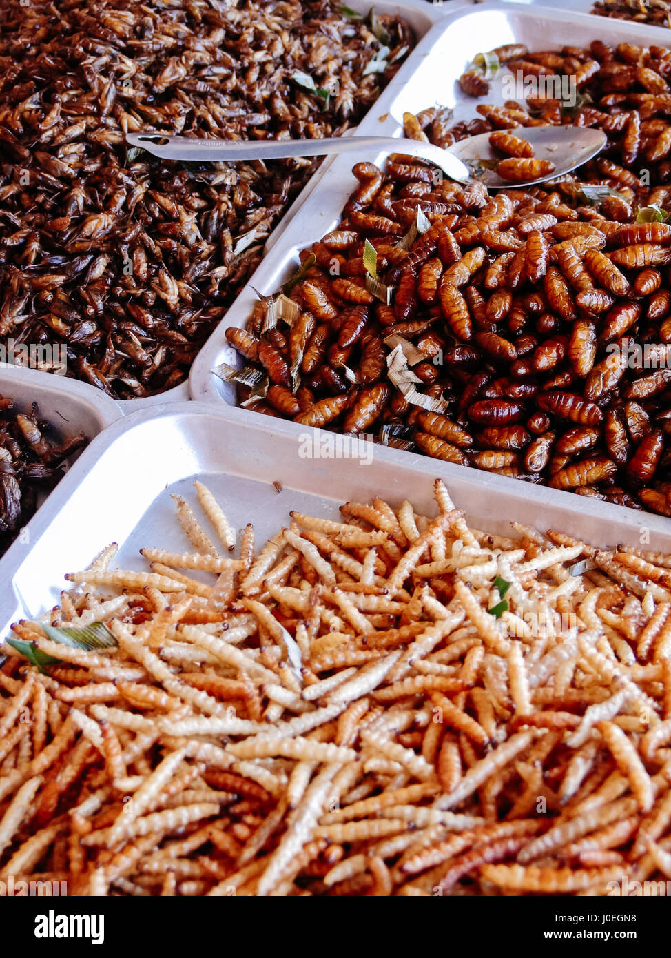 Fried insects on the street food stalls of Asia Stock Photo - Alamy