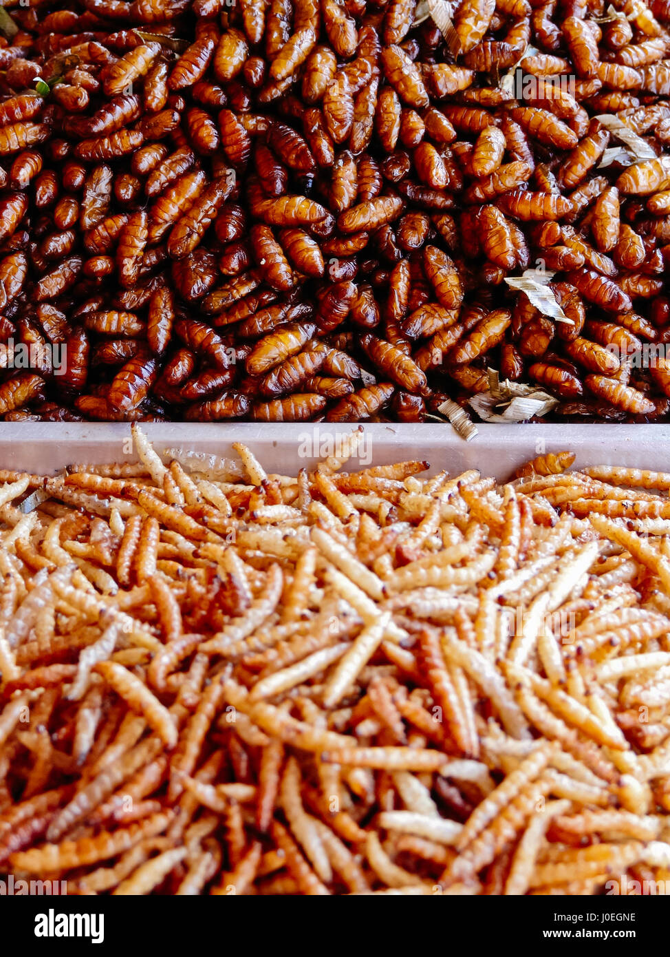 Fried insects on the street food stalls of Asia Stock Photo - Alamy