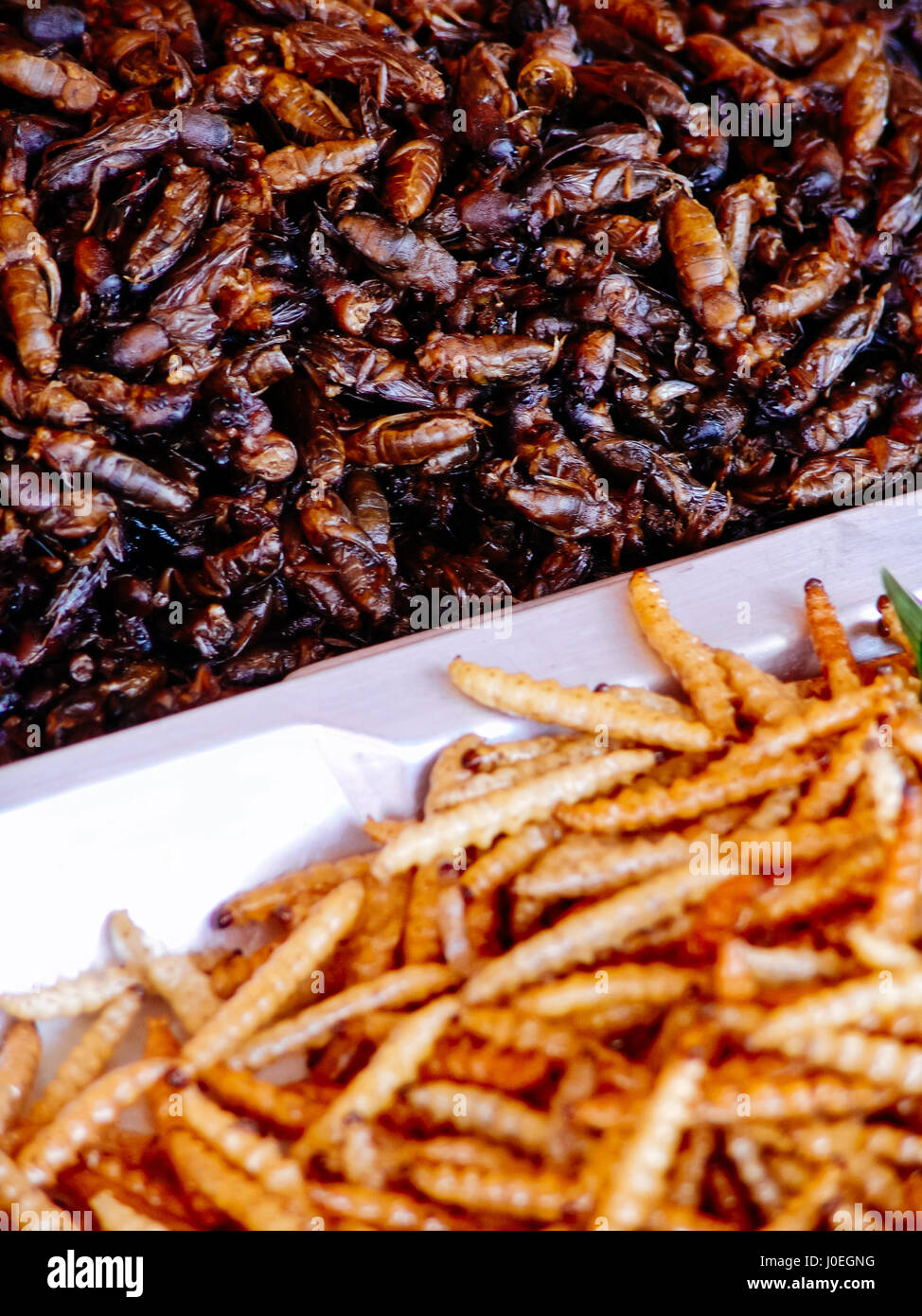 Fried insects on the street food stalls of Asia Stock Photo - Alamy