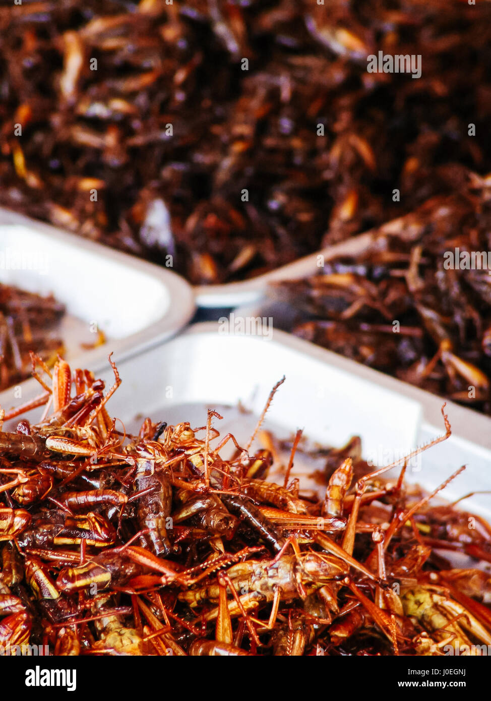 Fried insects on the street food stalls of Asia Stock Photo - Alamy
