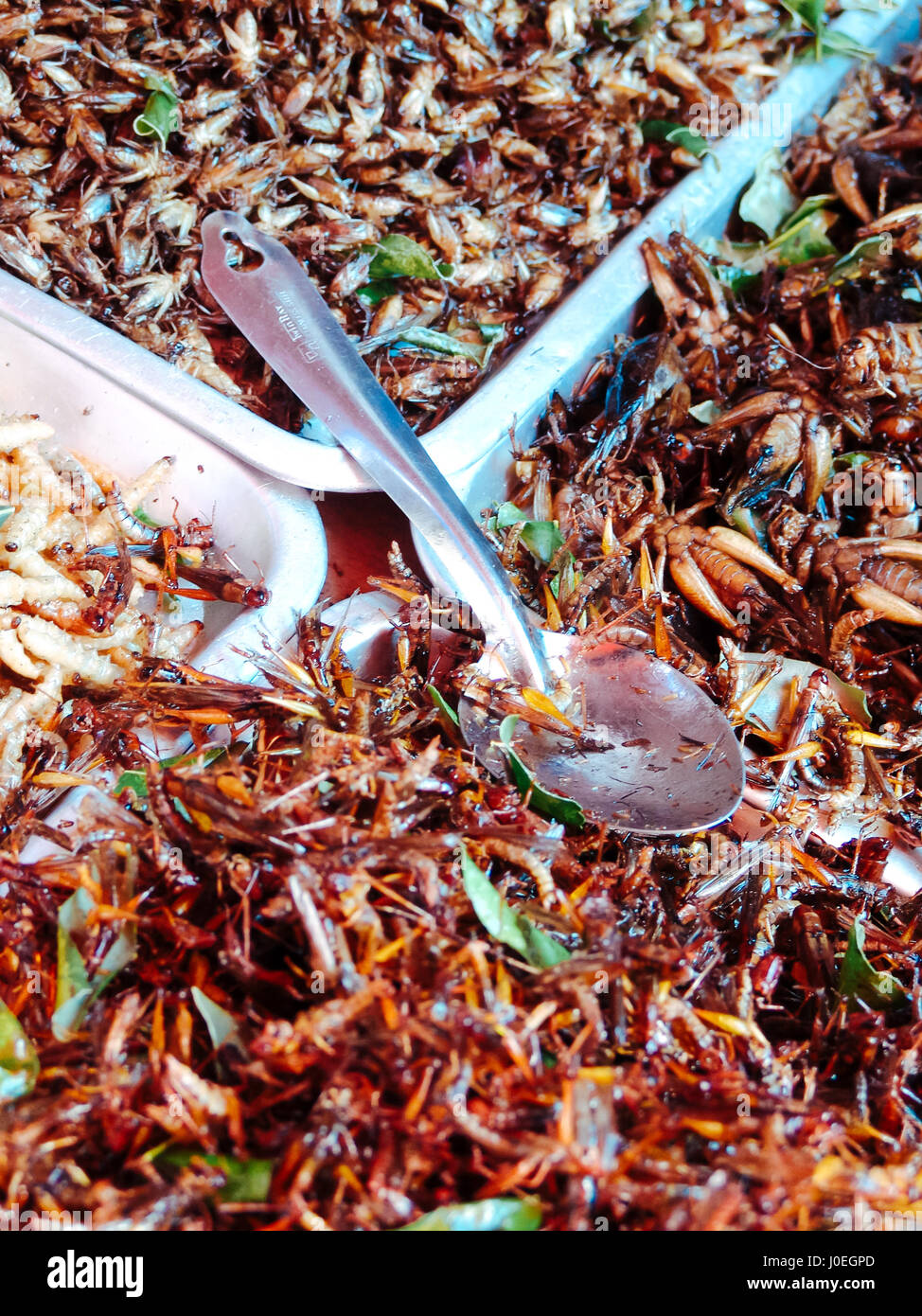 Fried insects on the street food stalls of Asia Stock Photo - Alamy