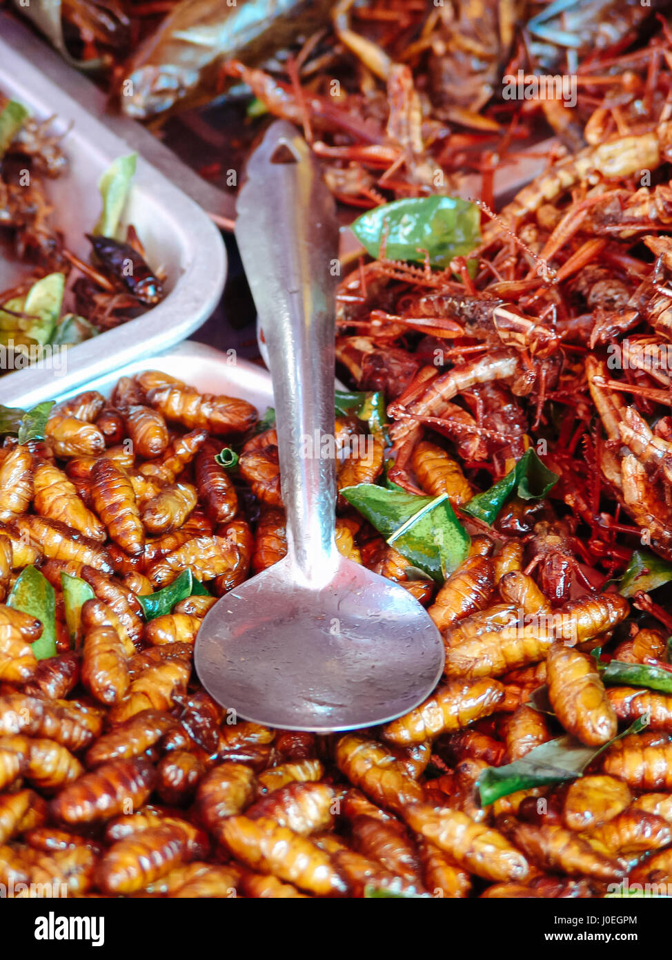 Fried insects on the street food stalls of Asia Stock Photo - Alamy