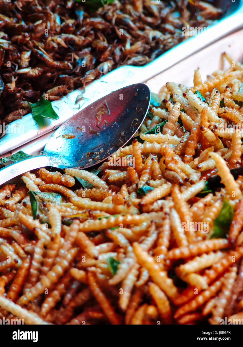 Fried insects on the street food stalls of Asia Stock Photo - Alamy