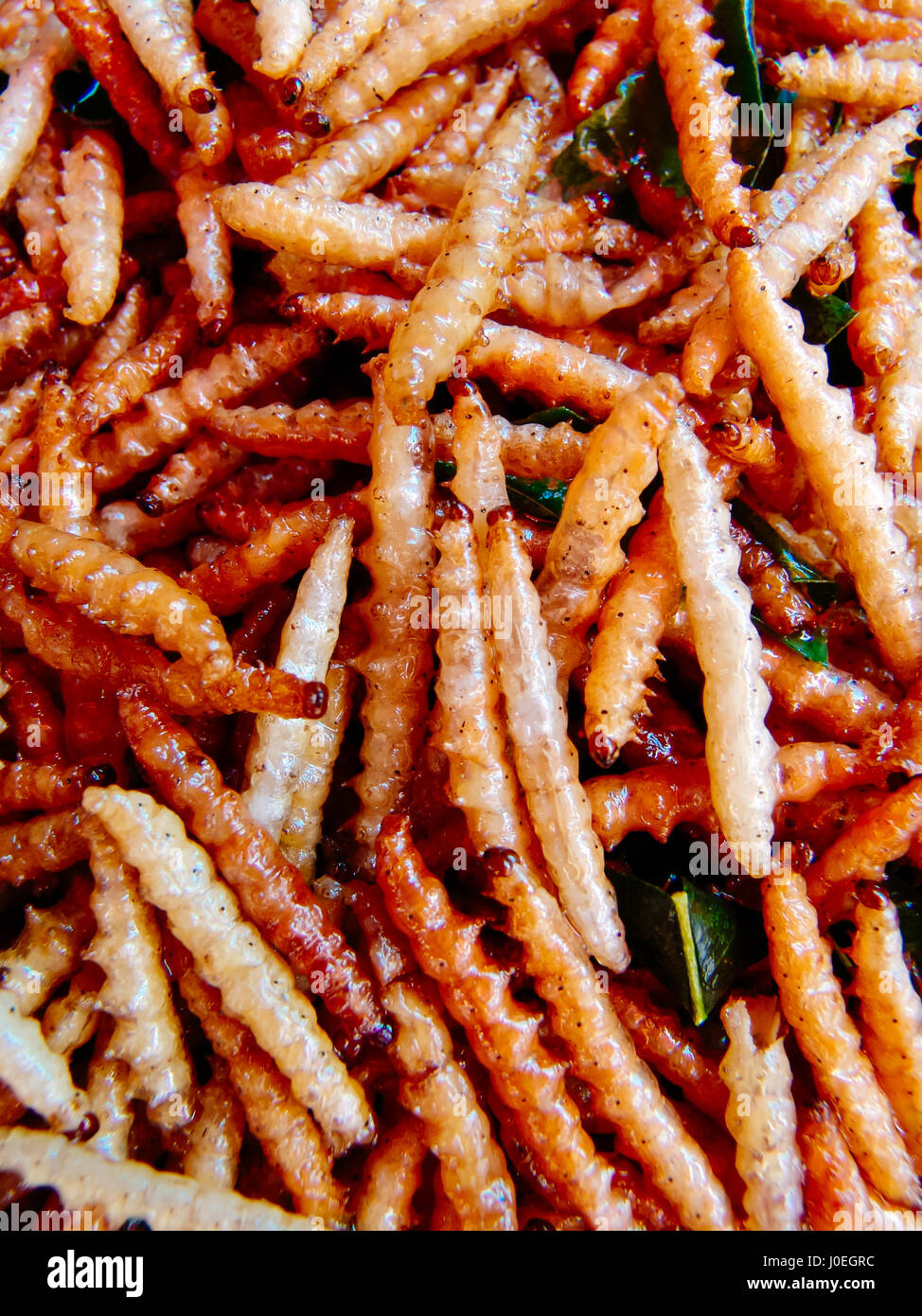 Fried insects on the street food stalls of Asia Stock Photo - Alamy