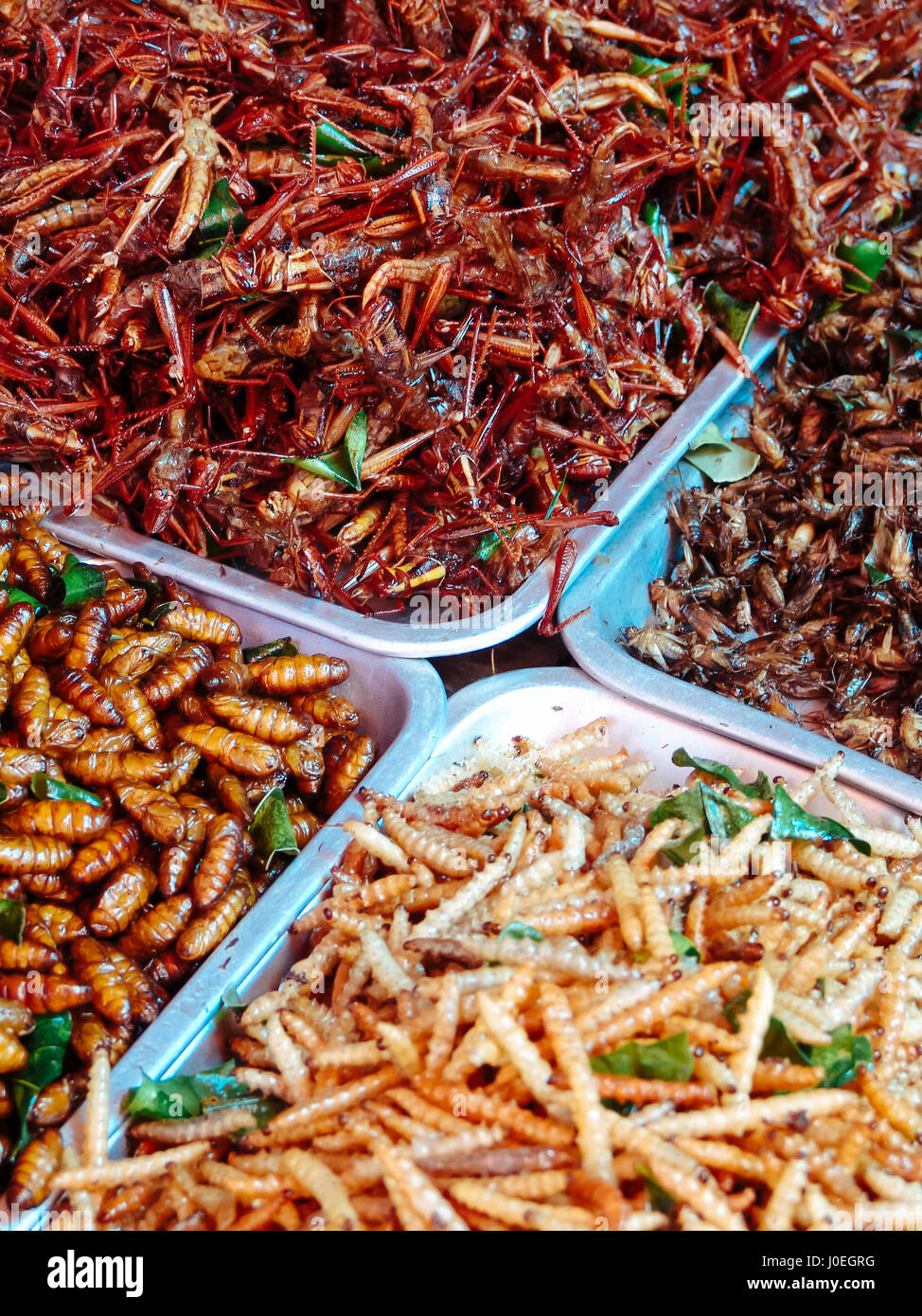 Fried insects on the street food stalls of Asia Stock Photo - Alamy