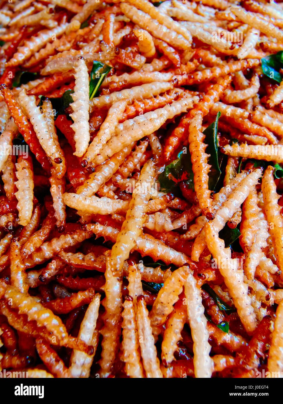 Fried insects on the street food stalls of Asia Stock Photo - Alamy