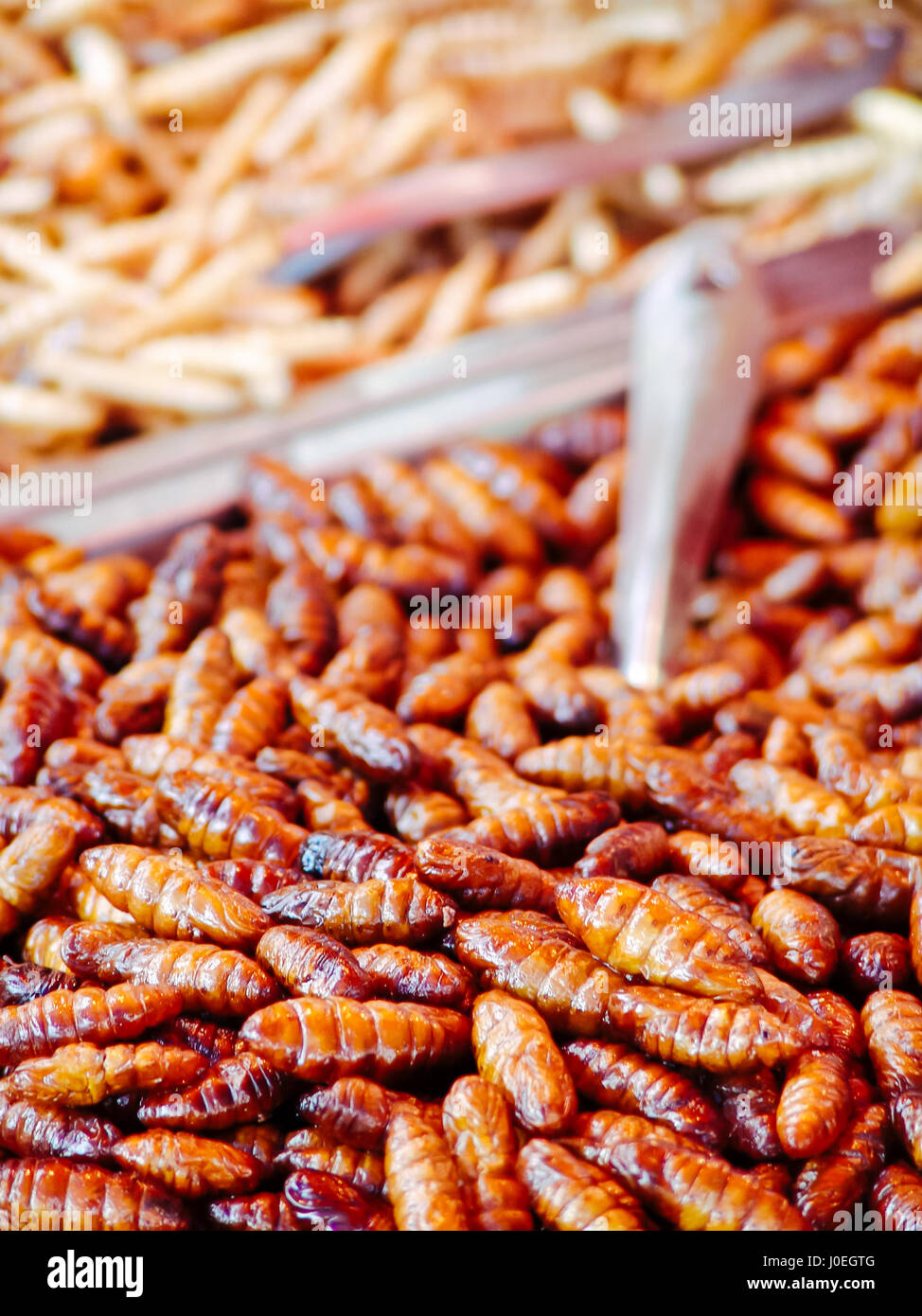 Fried insects on the street food stalls of Asia Stock Photo - Alamy