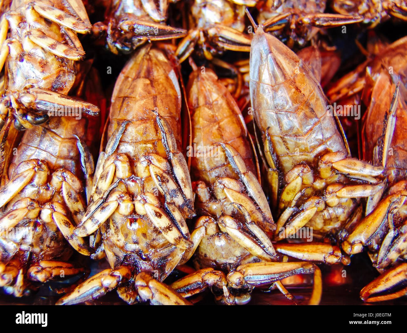 Fried insects on the street food stalls of Asia Stock Photo - Alamy