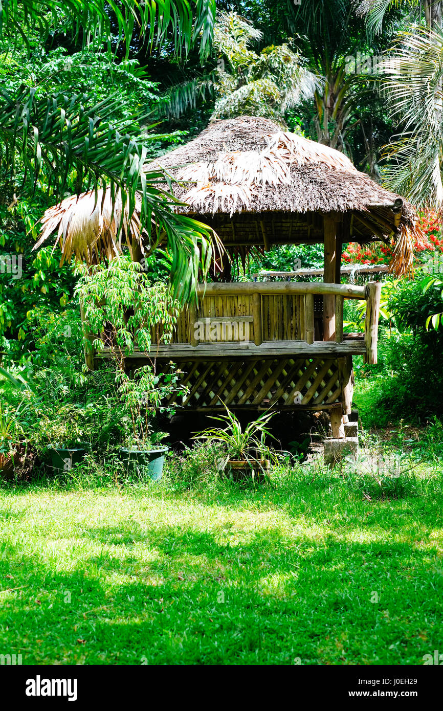 Beautiful sun shade cottage in the forest Stock Photo - Alamy