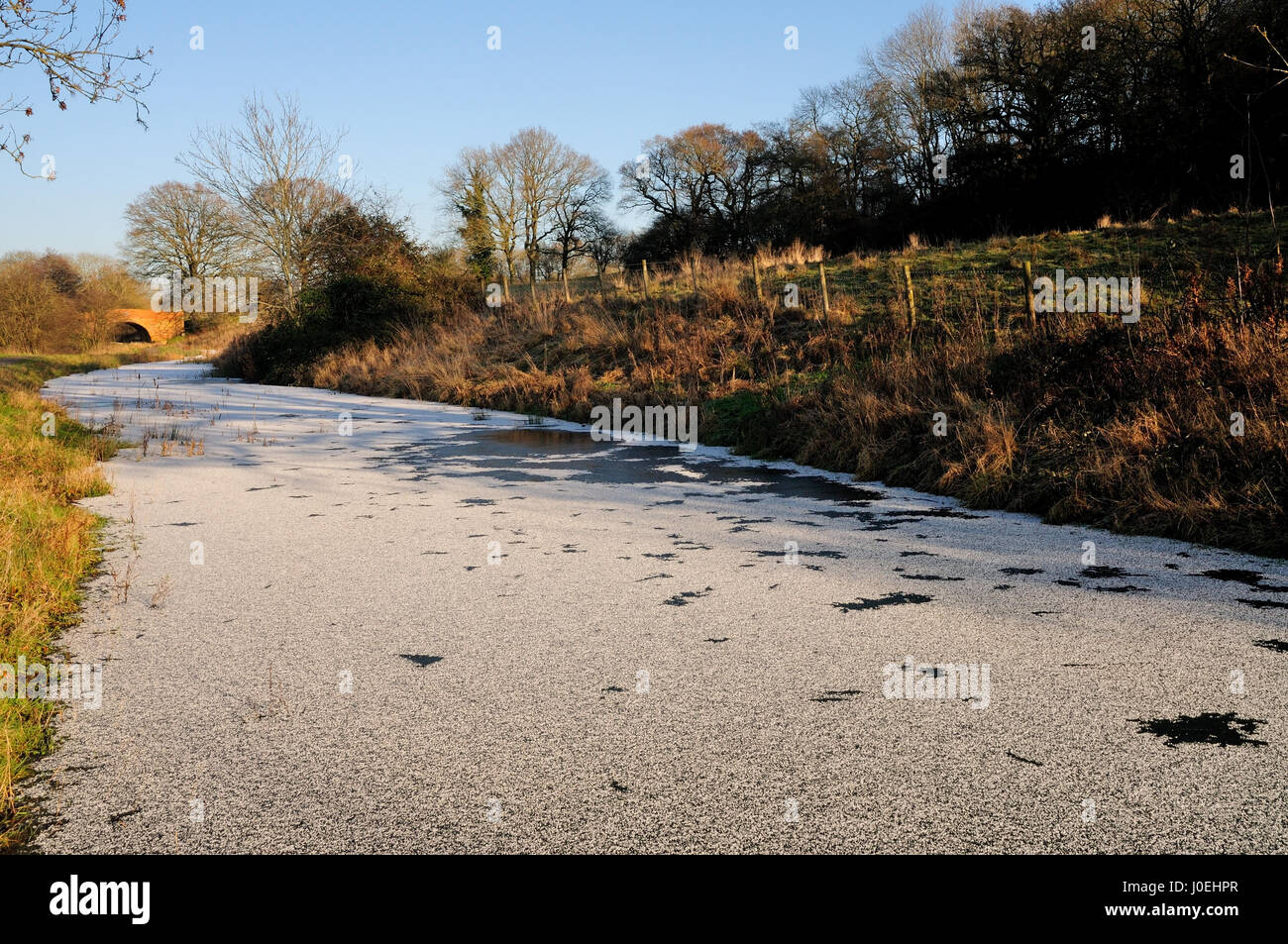 Sprinkling of snow hi-res stock photography and images - Alamy