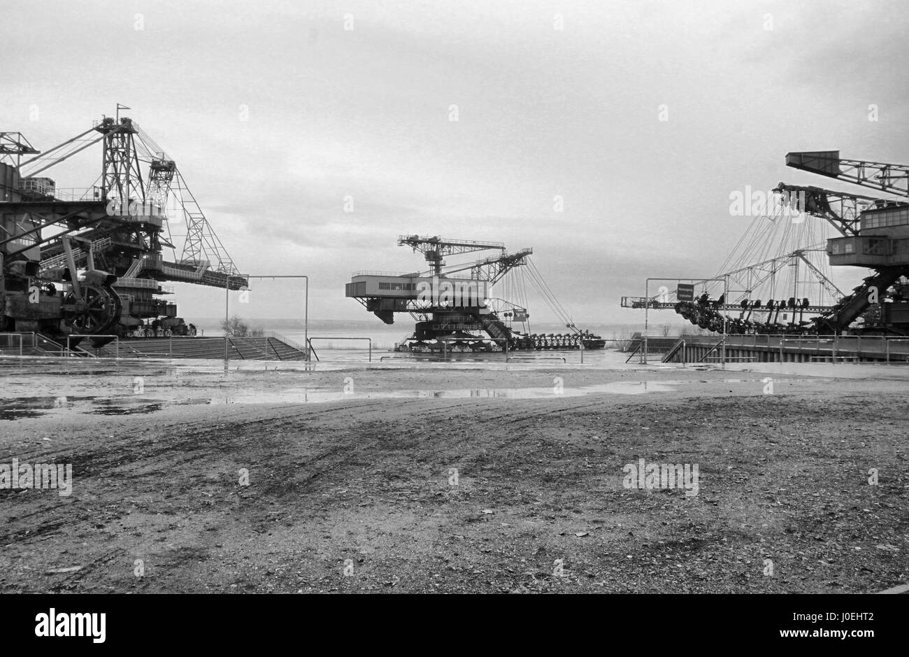 JAW-DROPPING pictures offer a glimpse into what could be the largest ...