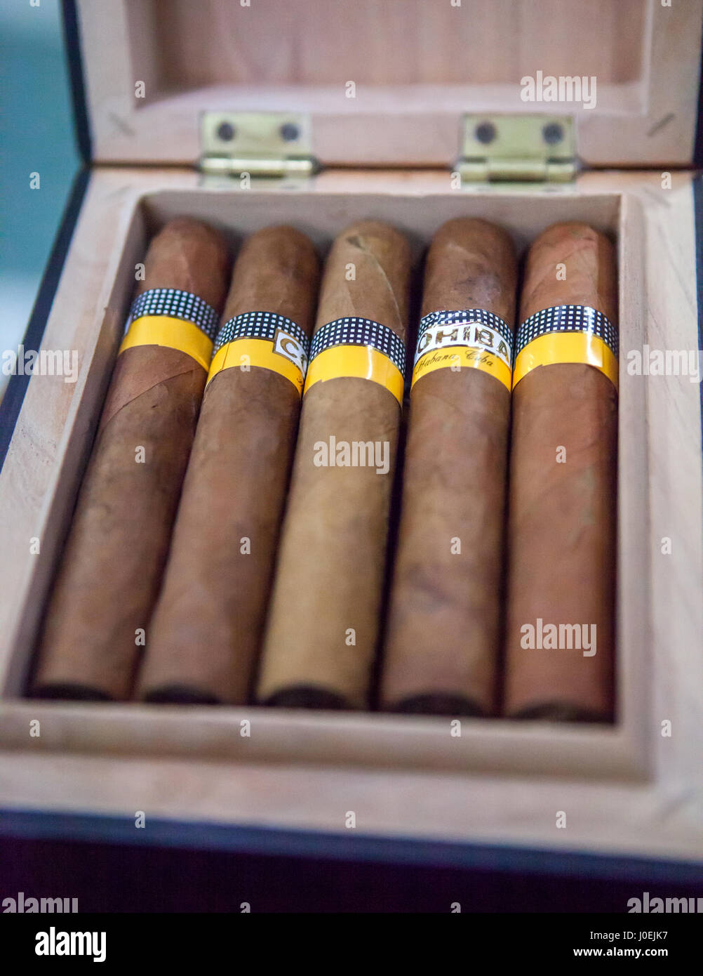 Cuban Cigars, Havana, Cuba Stock Photo - Alamy
