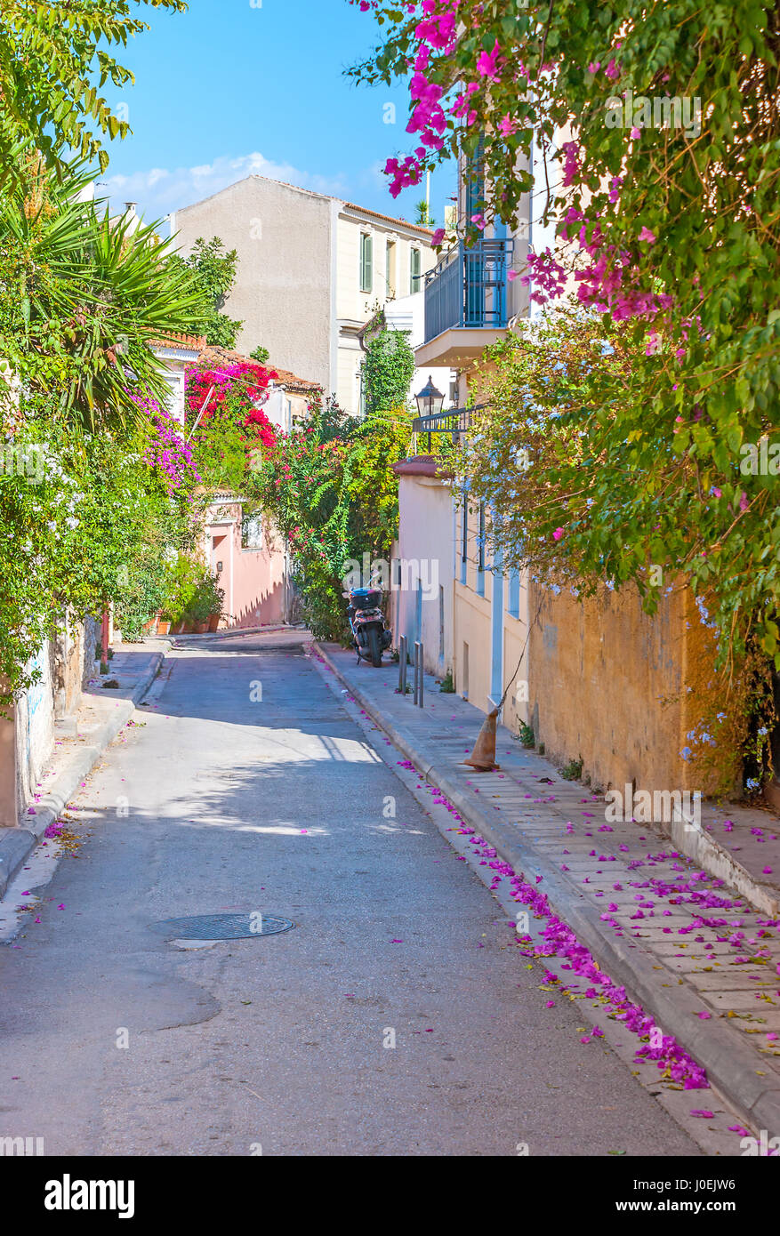 Beautiful shady street in residential neighborhood of Athens, Greece ...