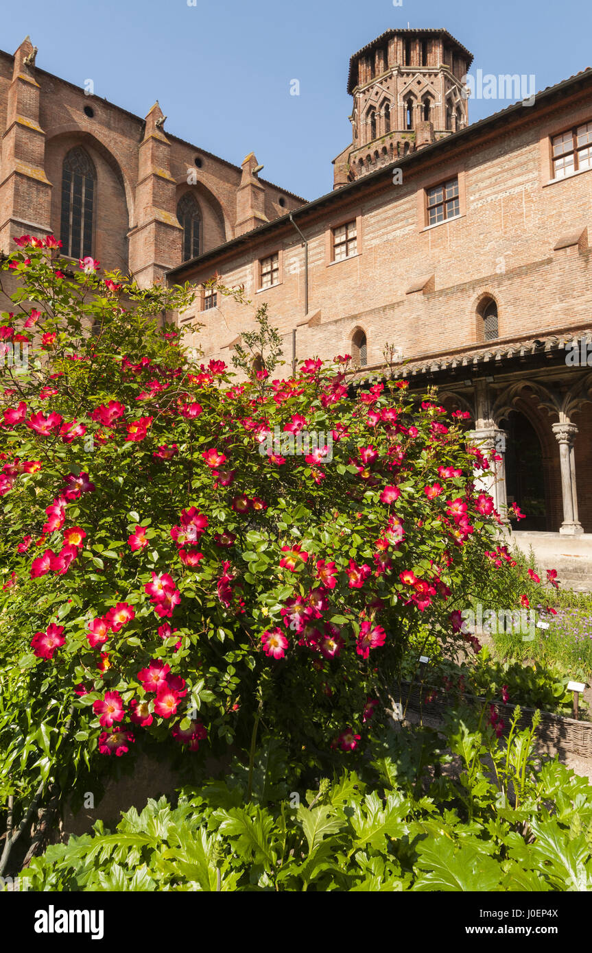 France, Toulouse, Augustinian Convent of Toulouse, cloister Stock Photo ...