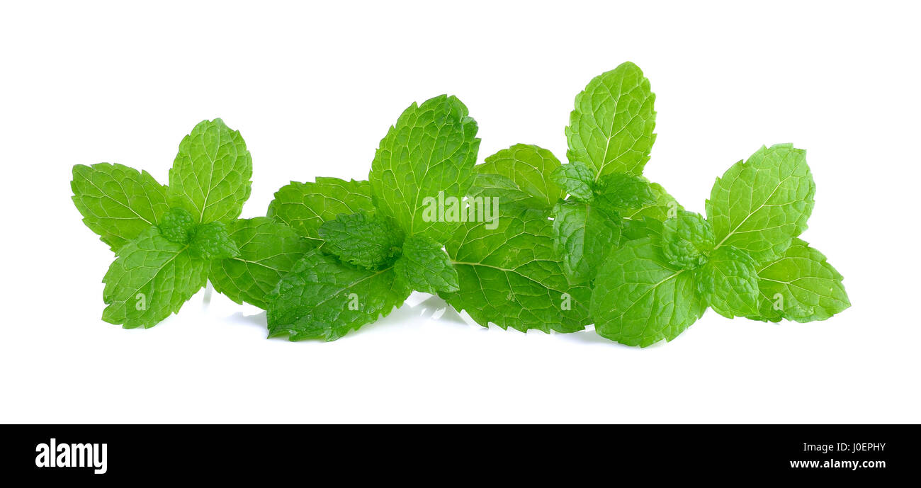 Peper mint isolated on the white background Stock Photo - Alamy
