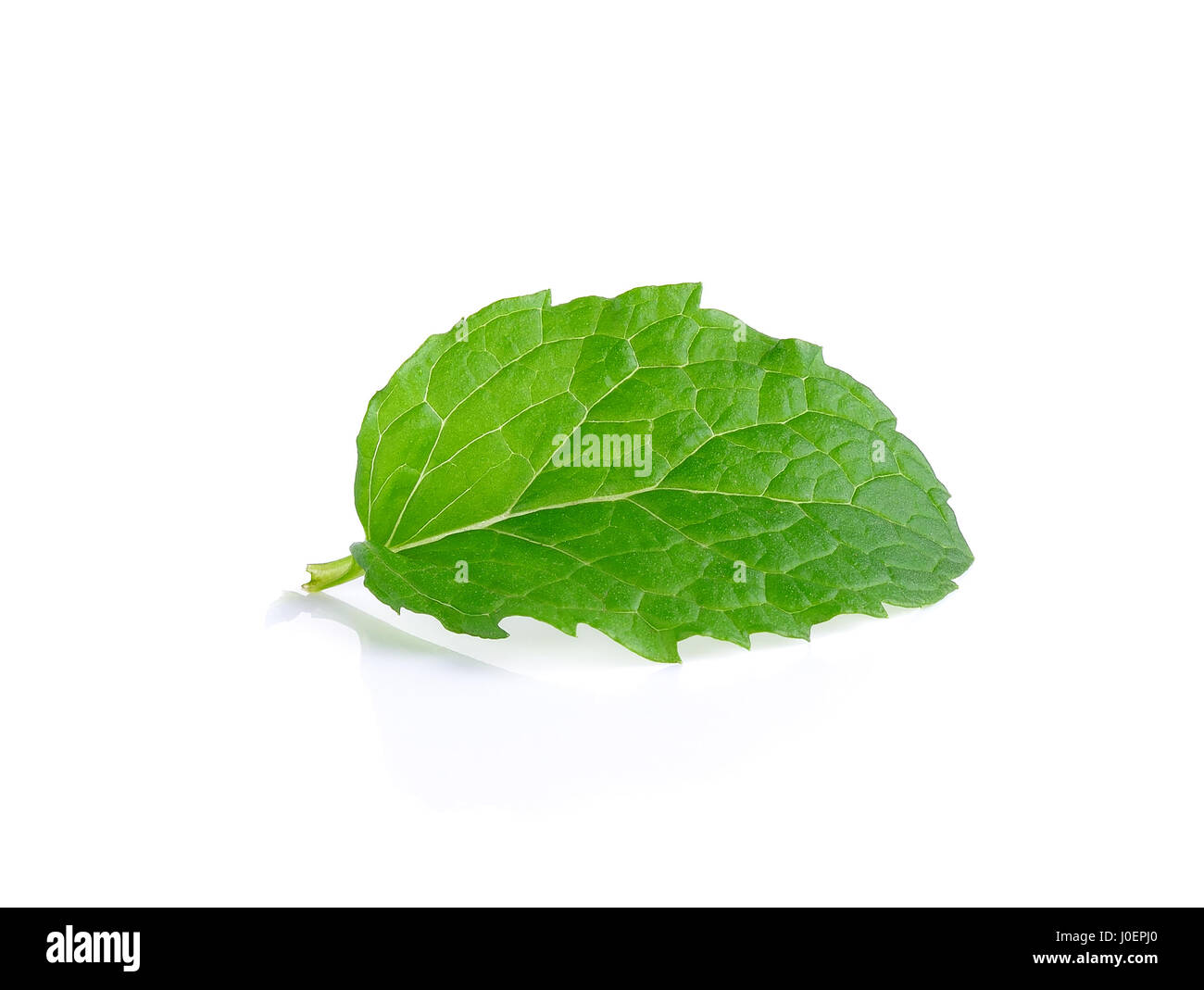 Peper mint isolated on the white background Stock Photo - Alamy
