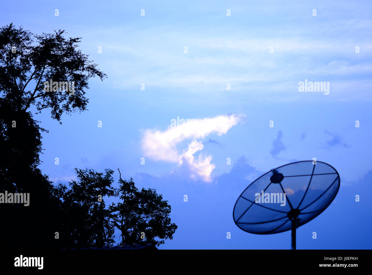 Satellite TV with tree in thailand Stock Photo - Alamy