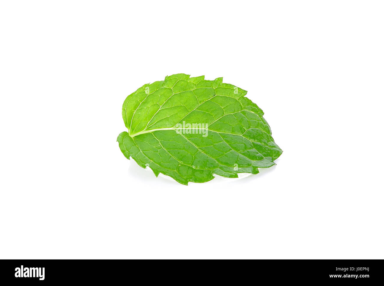 Peper mint isolated on the white background Stock Photo - Alamy
