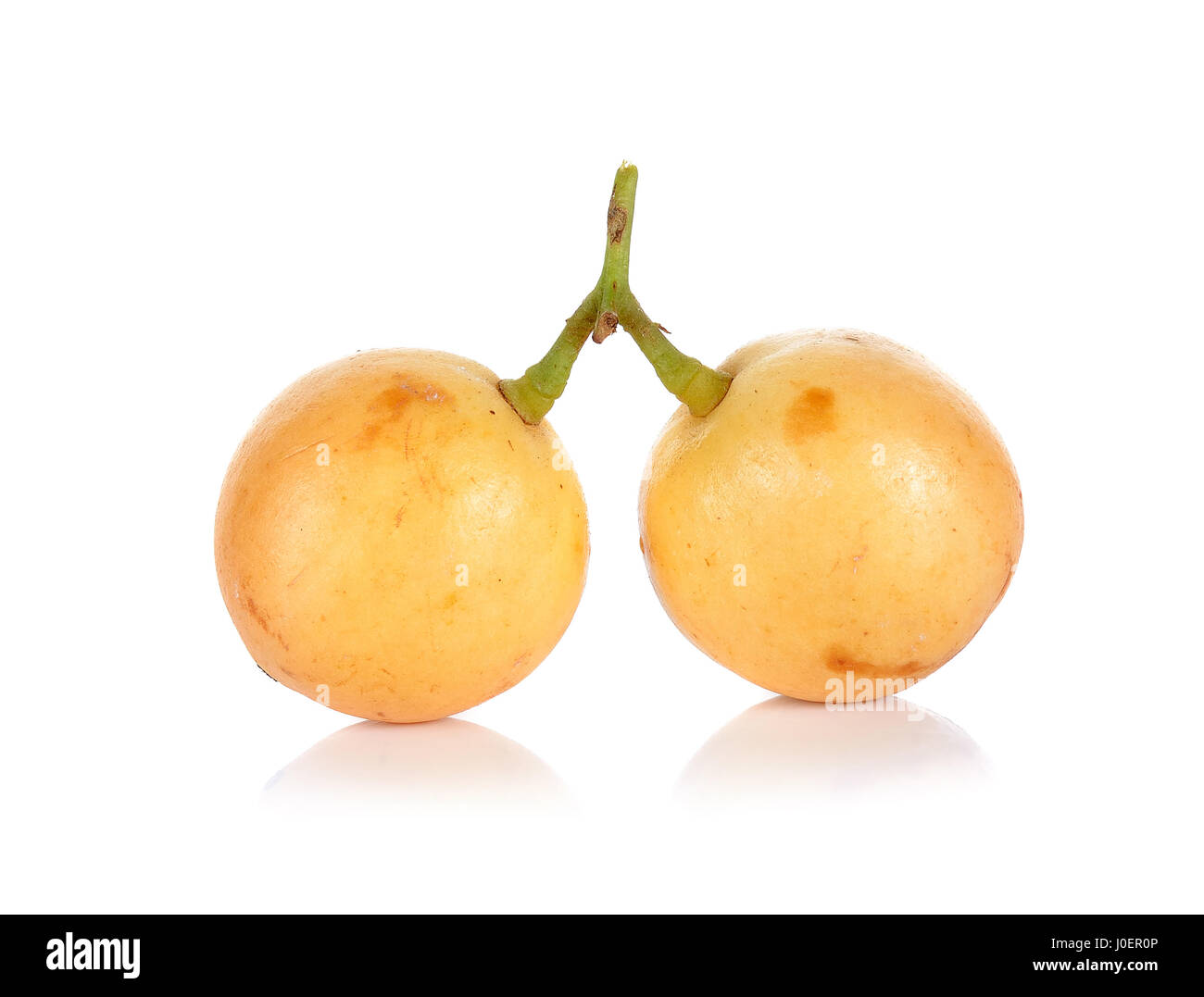 Mafai or Baccaurea ramiflora isolated on white background Stock Photo ...