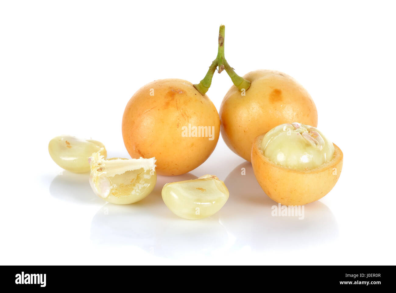 Mafai or Baccaurea ramiflora isolated on white background Stock Photo ...