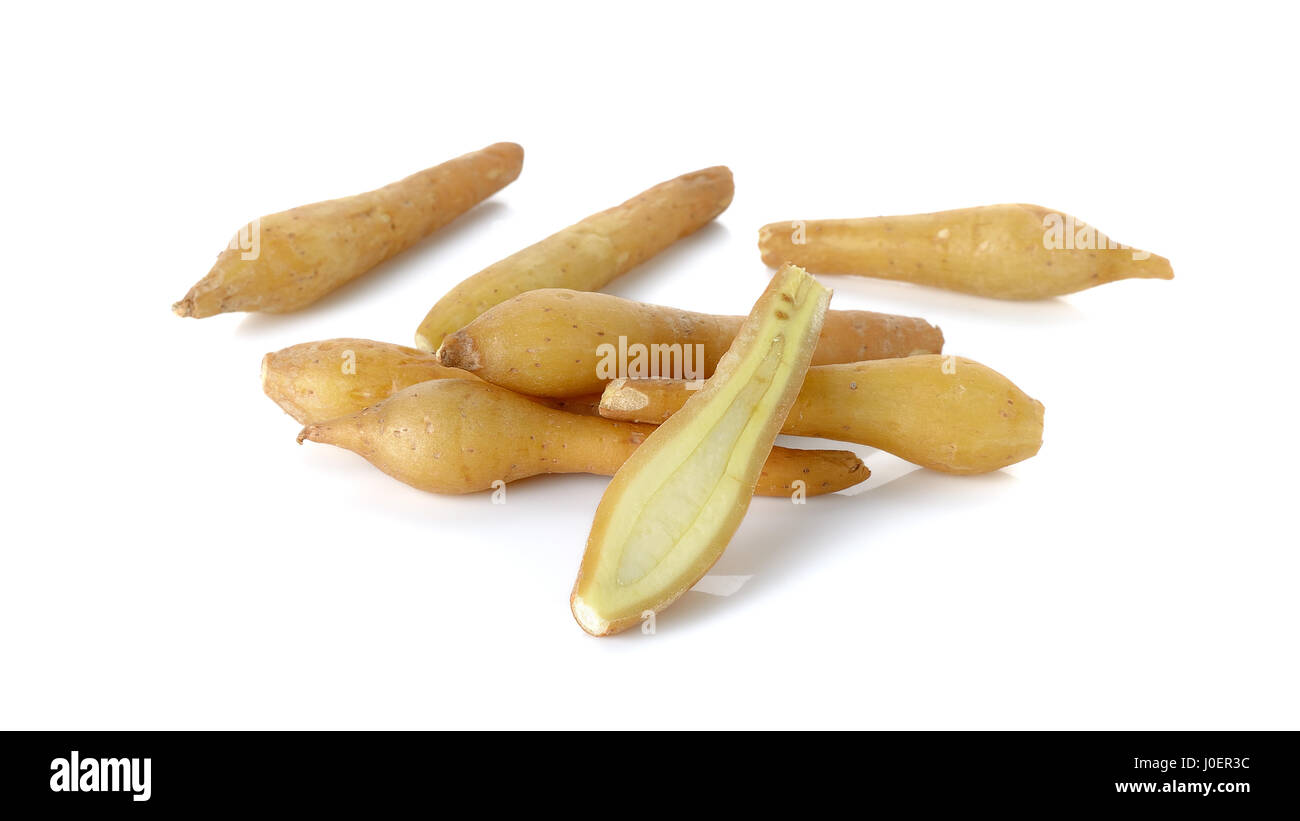 Fingerroot isolated on the white background Stock Photo - Alamy