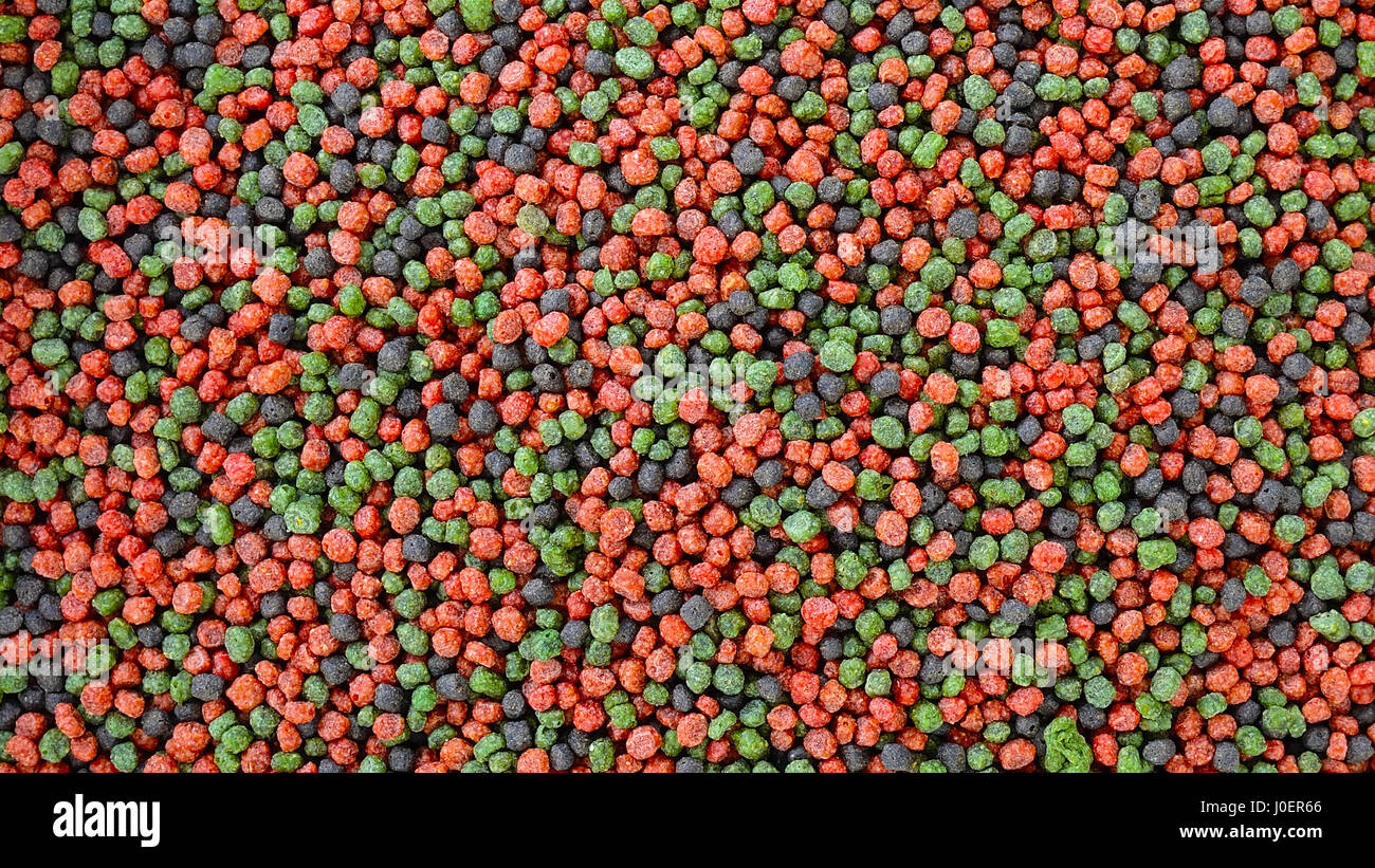 Feed fish aquarium hi-res stock photography and images - Alamy