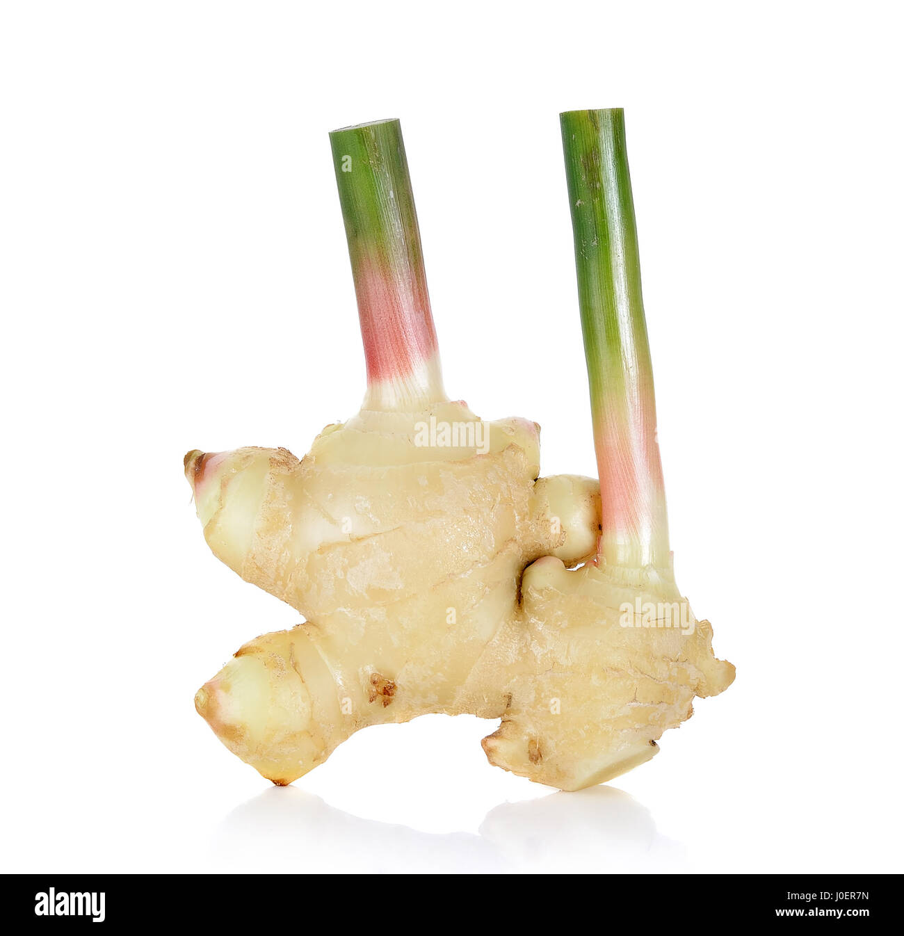 Ginger isolated on the white background Stock Photo - Alamy