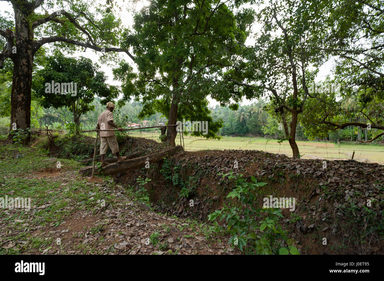 Maggot farm hi-res stock photography and images - Alamy