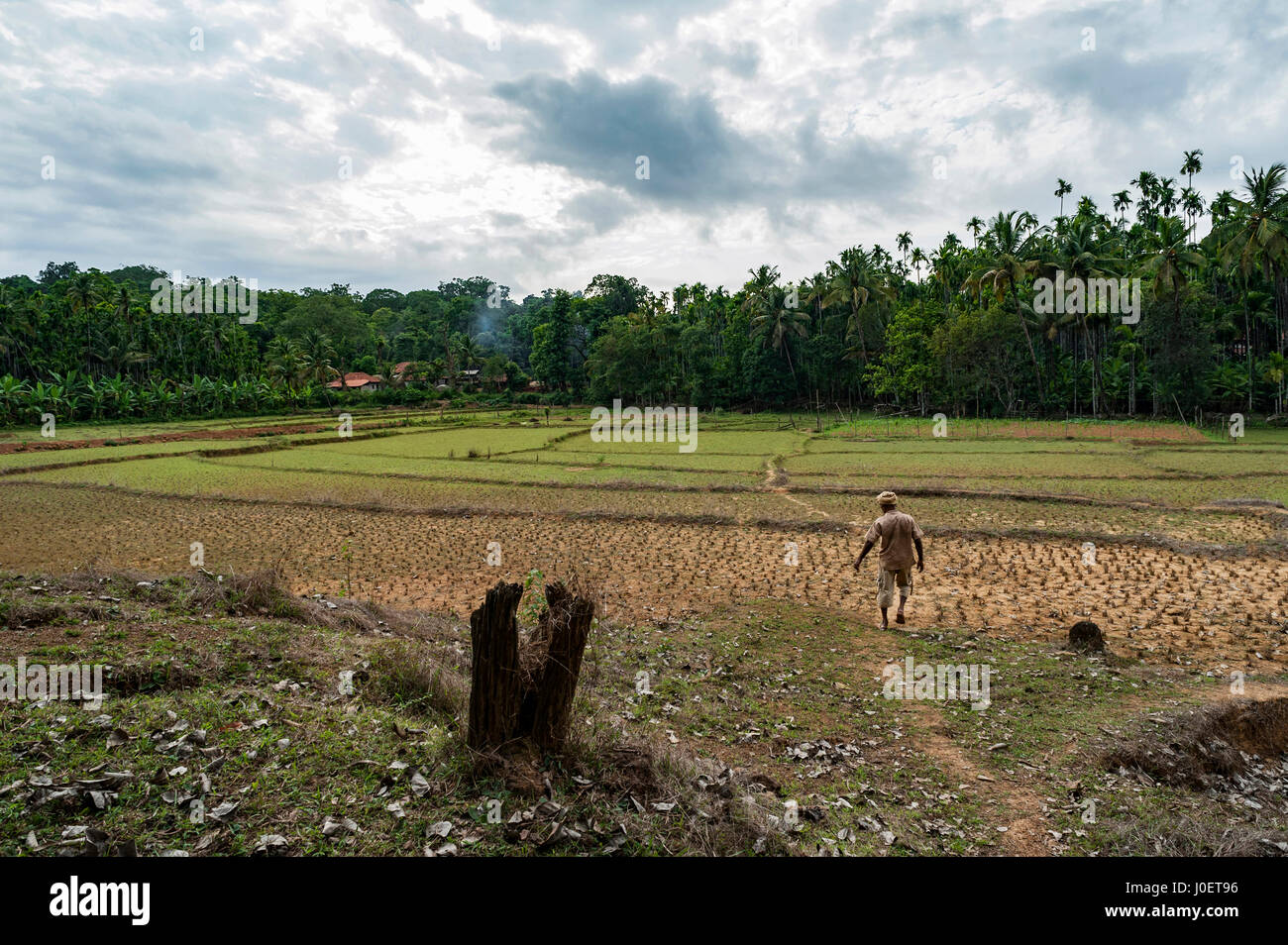 Maggot farm hi-res stock photography and images - Alamy
