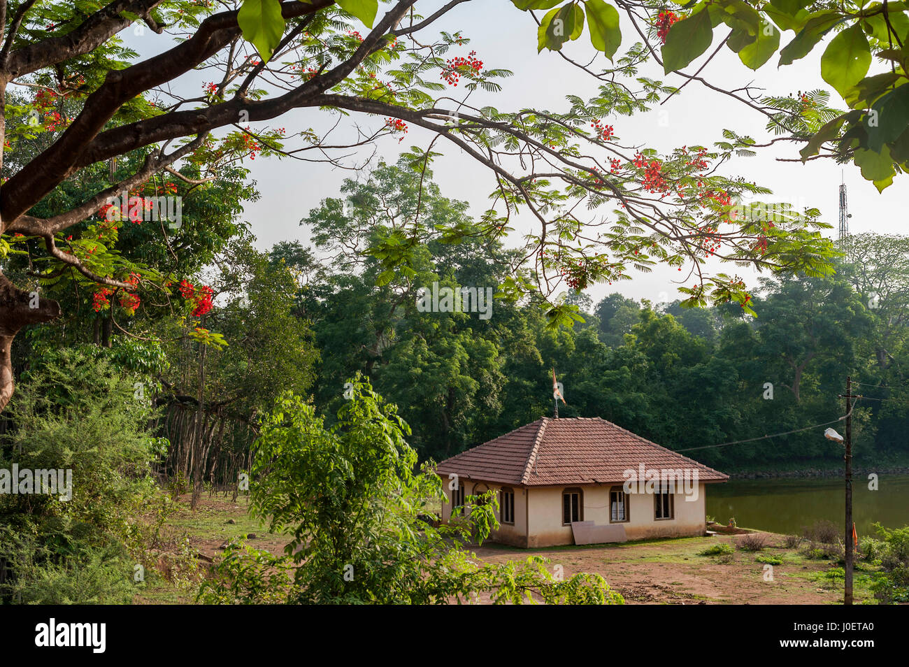 Yellapur hi-res stock photography and images - Alamy