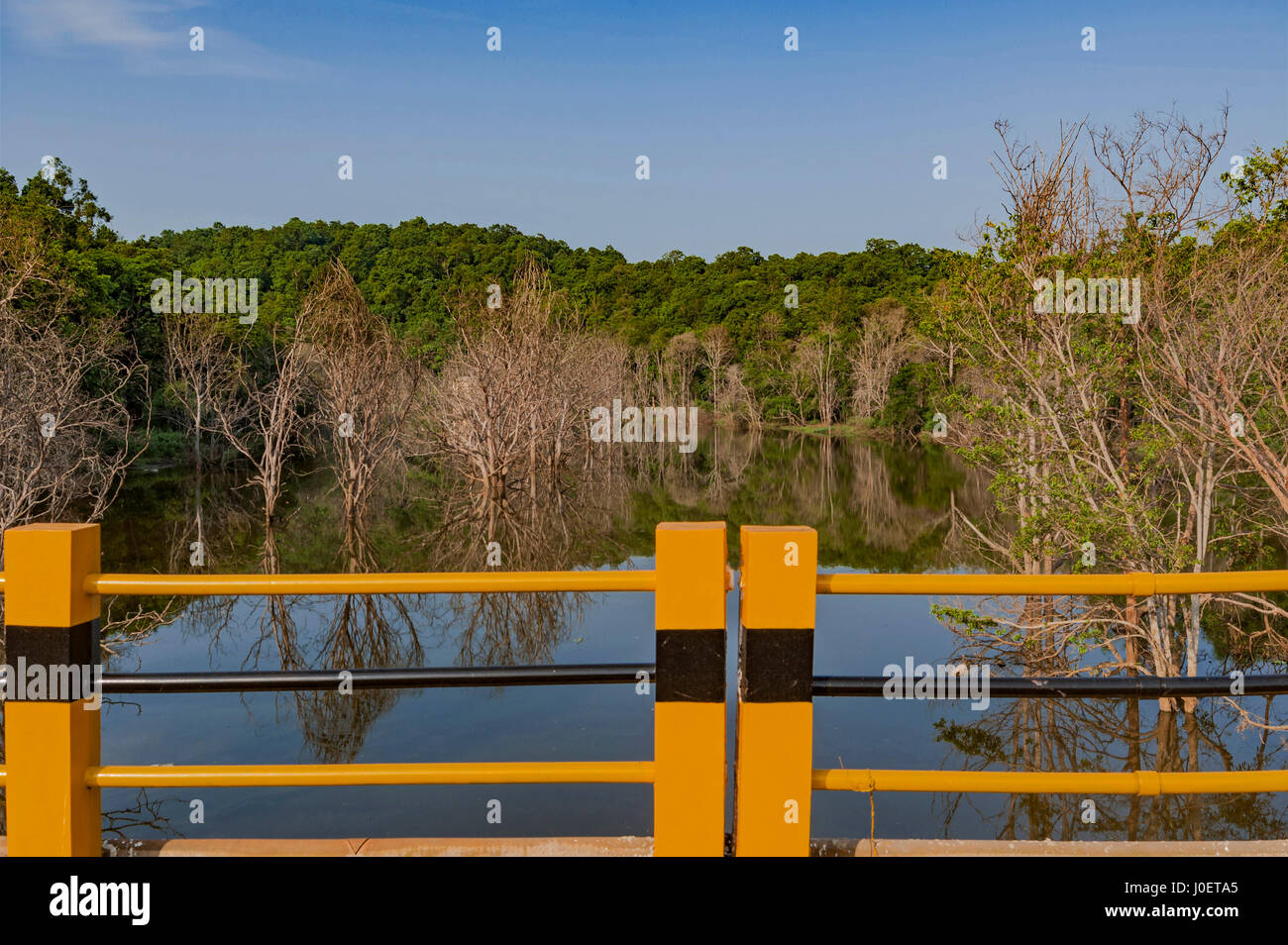 Yellapur hi-res stock photography and images - Alamy