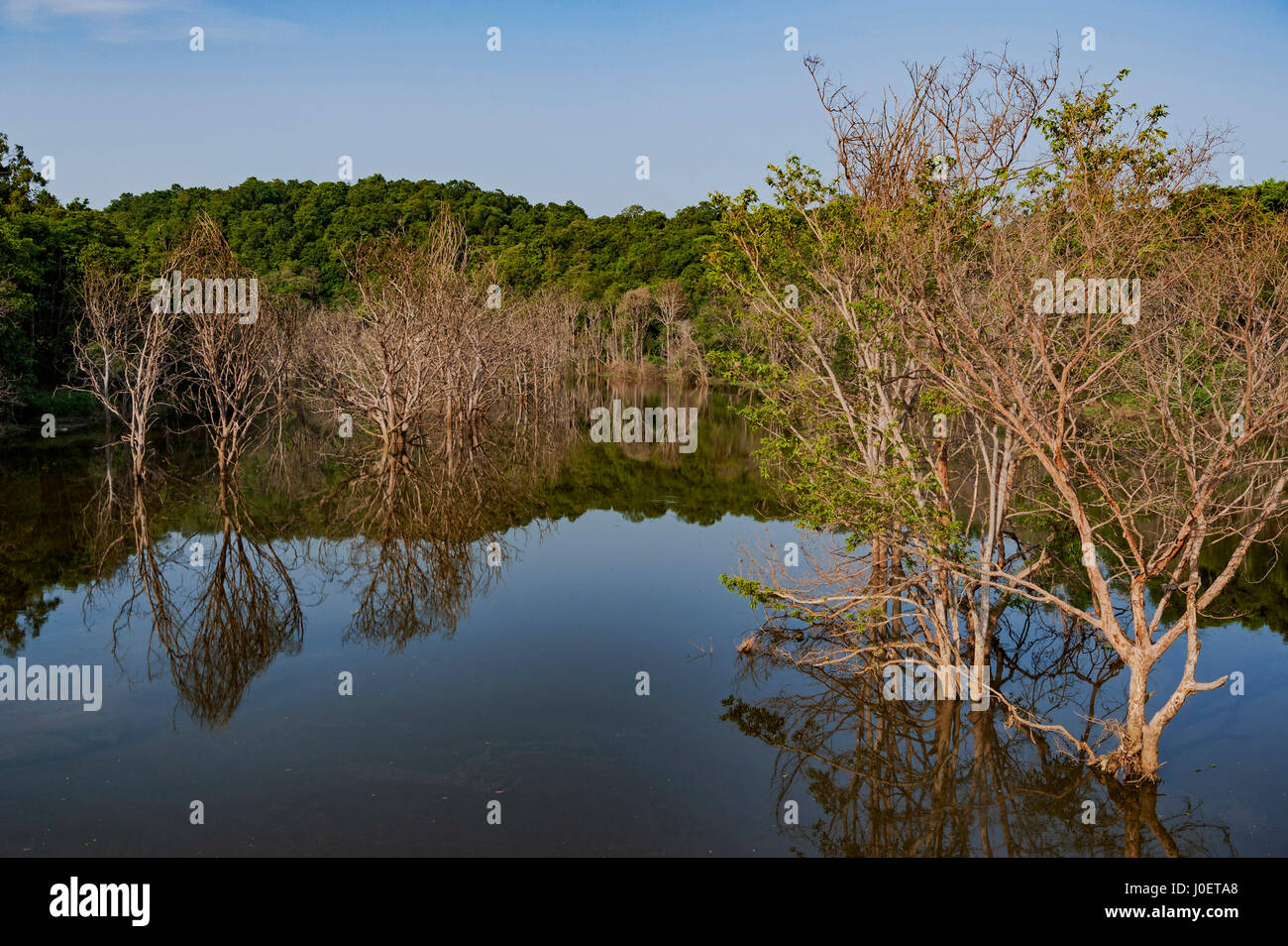 River, yellapur, karnataka, india, asia Stock Photo - Alamy
