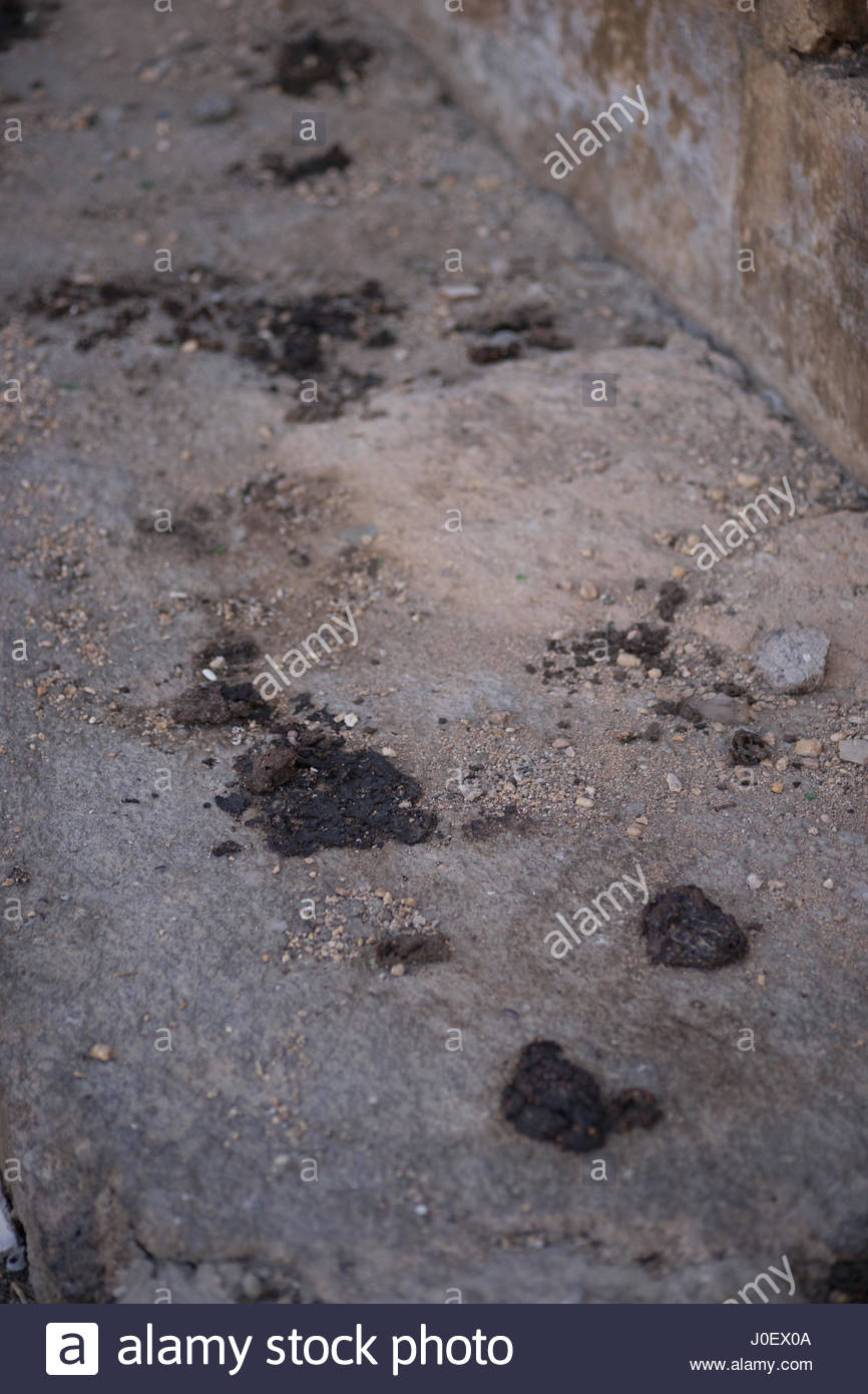 Hole In The Ground Toilet High Resolution Stock Photography and Images ...