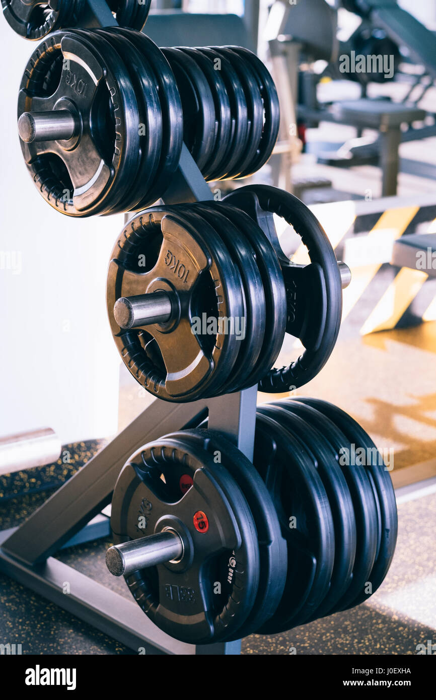 Set of metal barbells disks on barbbell holder in the fitness gym Stock ...