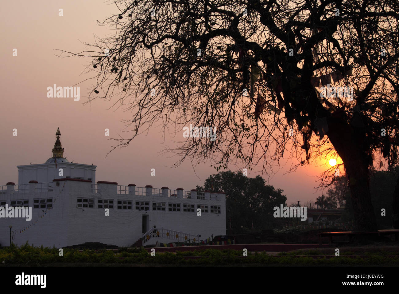 Maya devi temple buddha hi-res stock photography and images - Alamy