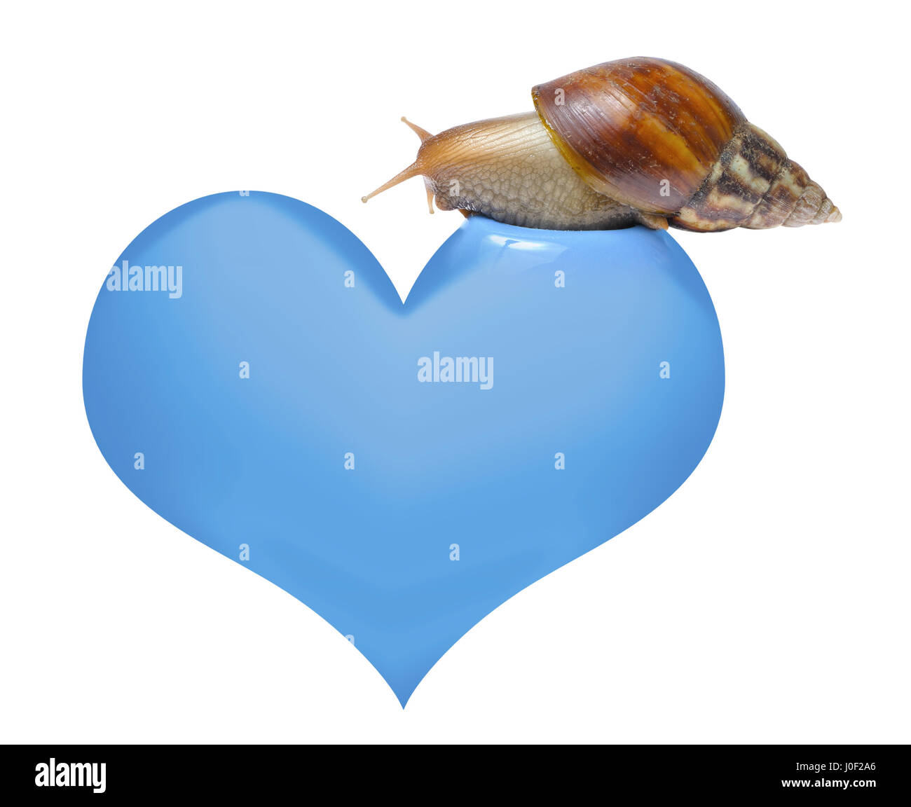 Snail on heart isolated white background Stock Photo - Alamy